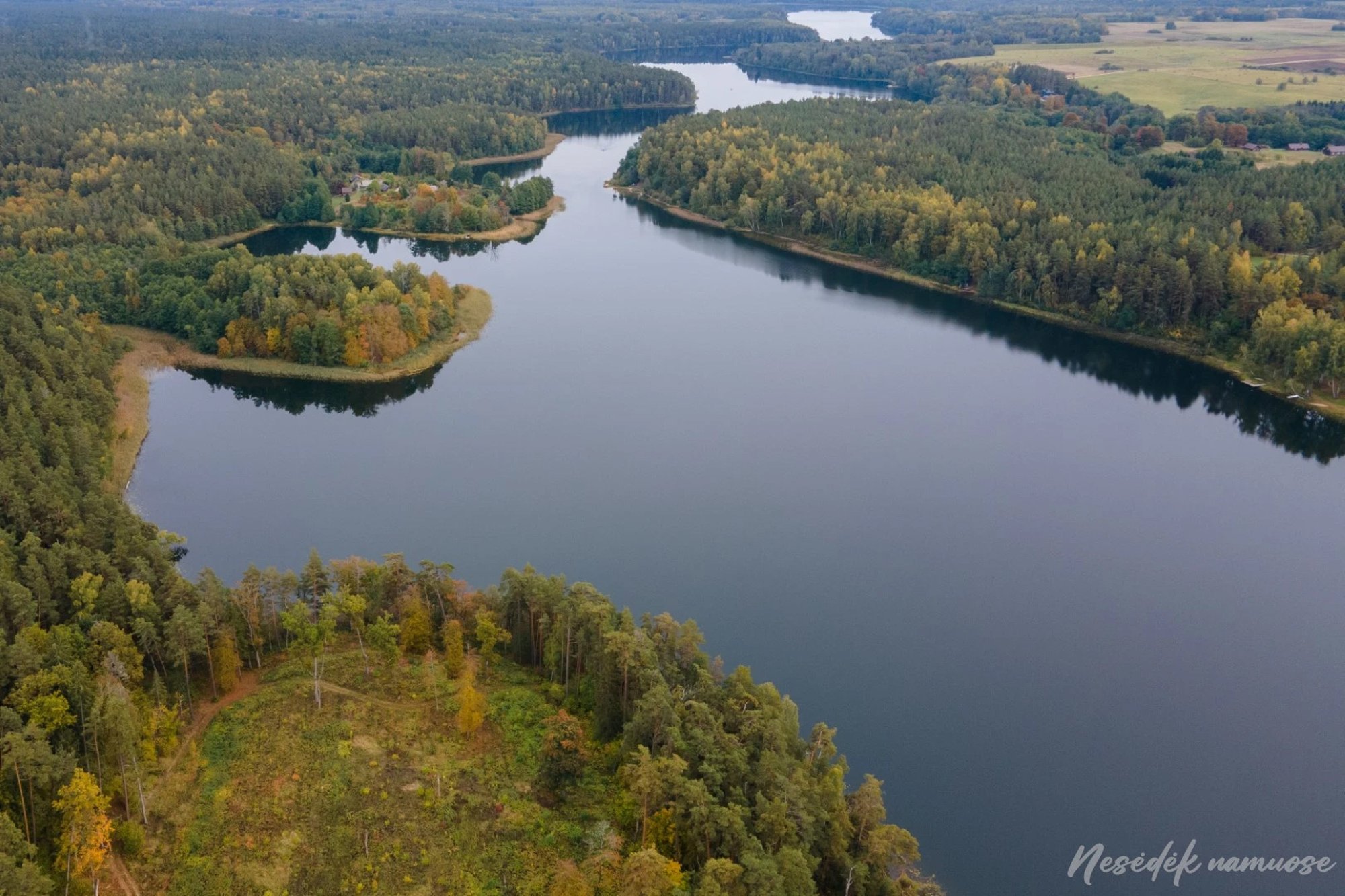 Abejingų nepaliksiantis pažintinis takas prie Asvejos ežero ...