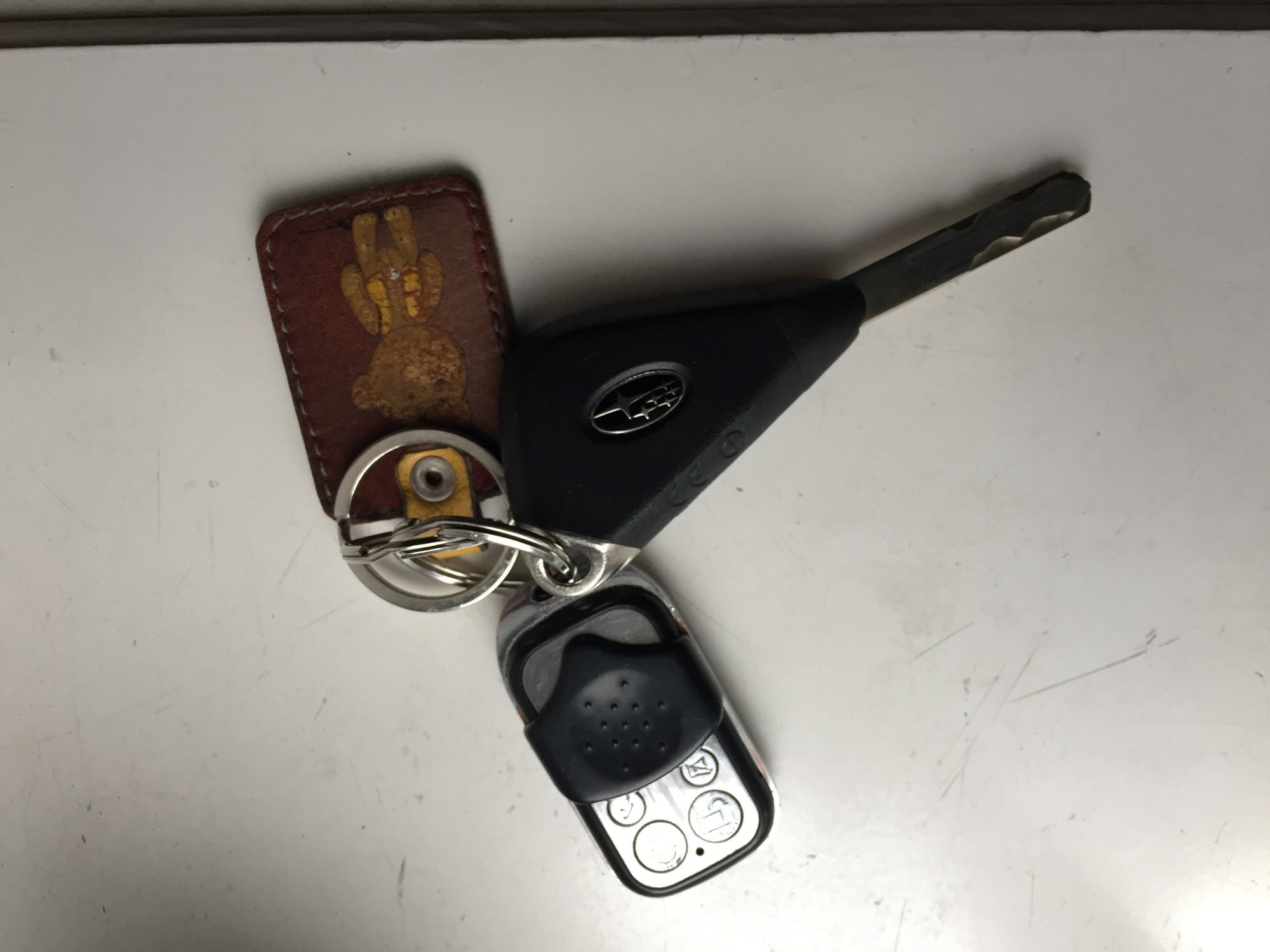 Rasti „Subaru“ rakteliai, ieškomi „Volvo“ ir buto raktai - Delfi kartu