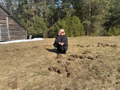 Editą Mildažytę šiemet stebina ankstytvi kurmiai - Delfi būstas