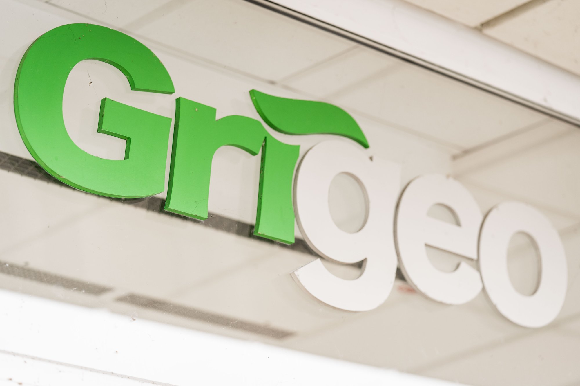 „Grigeo“ pajamos šiemet didėjo 1,4 proc. - Delfi verslas