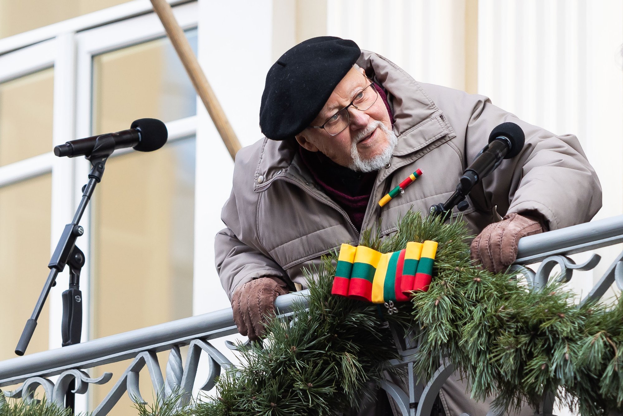 Profesorius Landsbergis: „Nemuno dumblas“ turi eiti lauk - Delfi