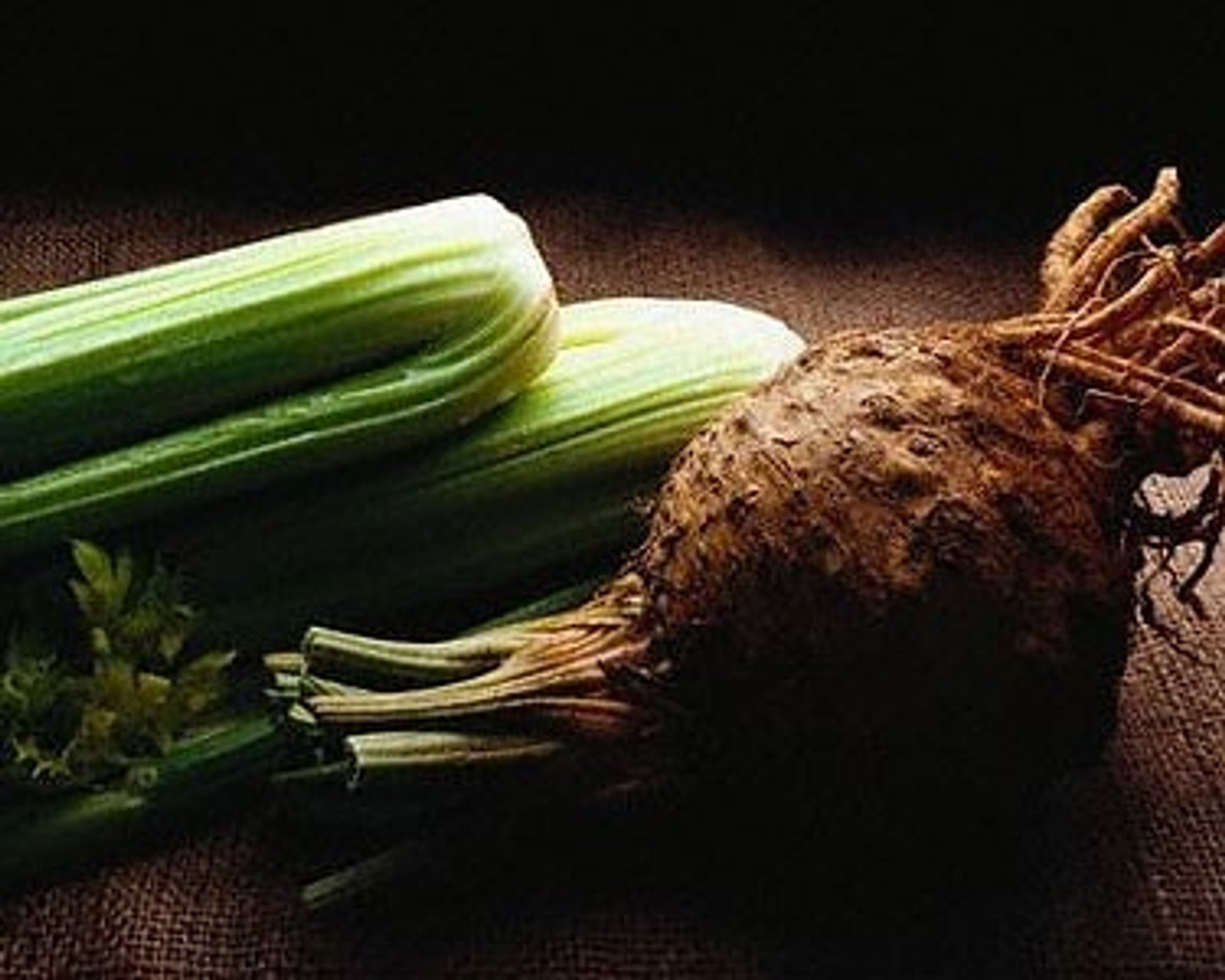 Salierai ir petražolės gali apsaugoti nuo leukemijos - Delfi RU