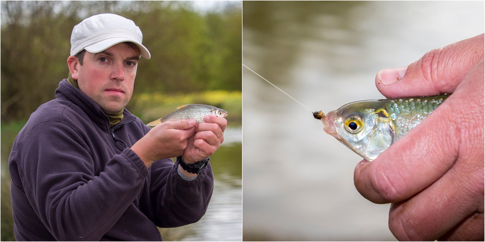 Kanapės ir kuojos - Kablys.lt