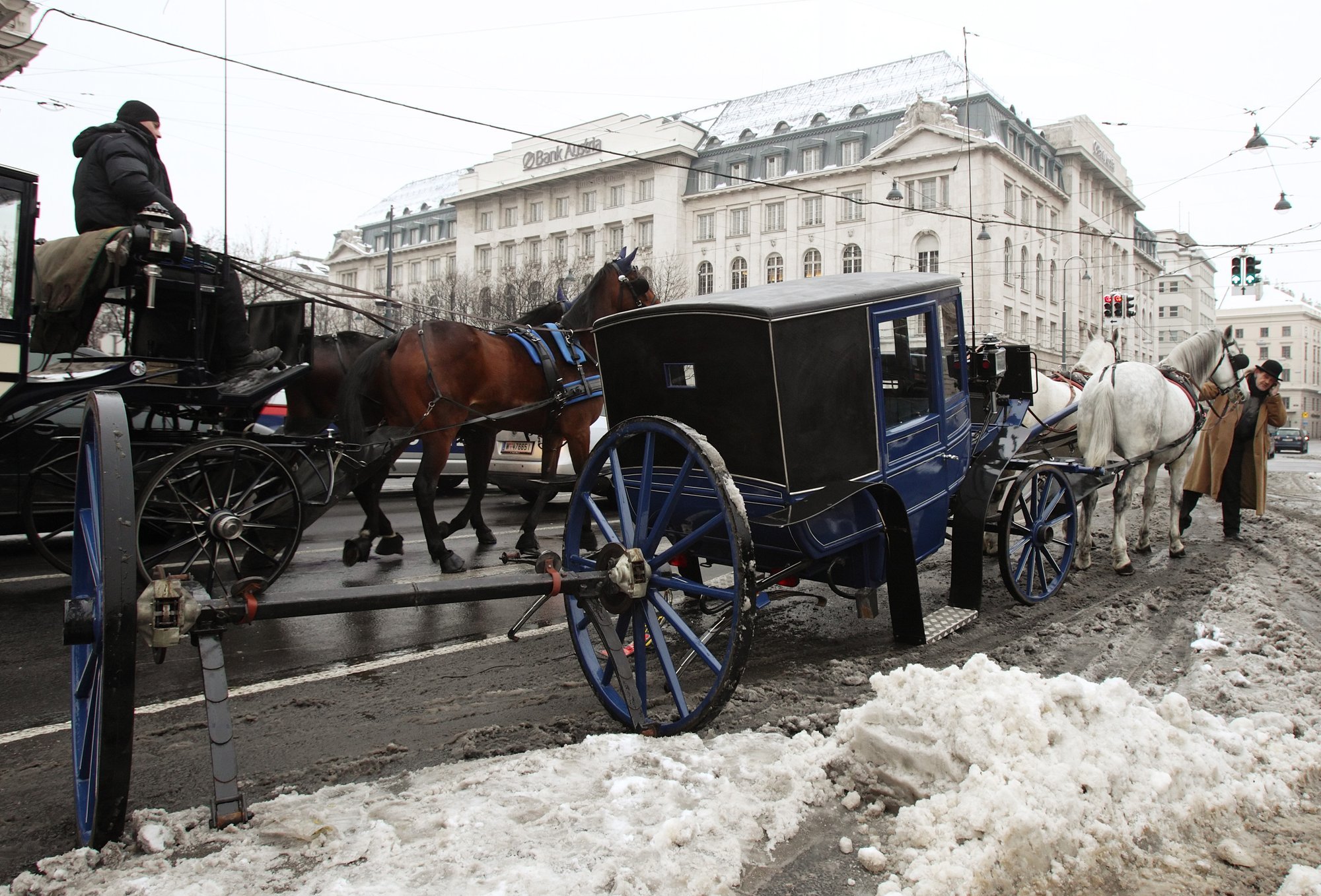Vienoje pabėgęs arklys sukėlė chaosą gatvėse - Delfi grynas