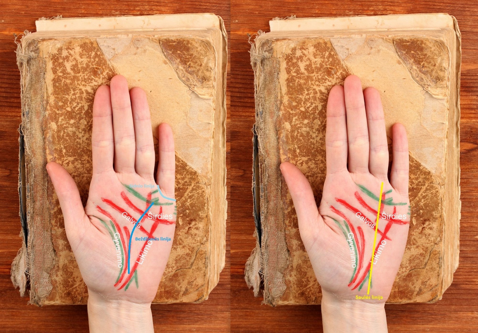 Pasitikrinkite, ką išduoda delnai: charakteris pagal pirštų ir nagų ...