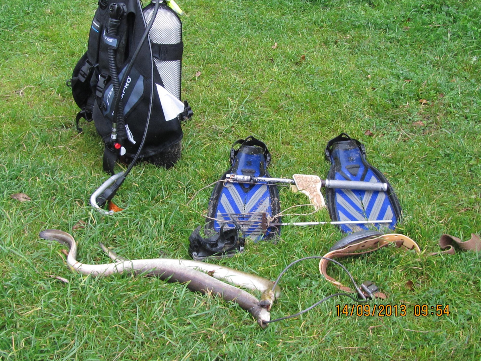 Aplinkosaugininkų laimikis: brakonierius, du unguriai ir visa nardymo ...