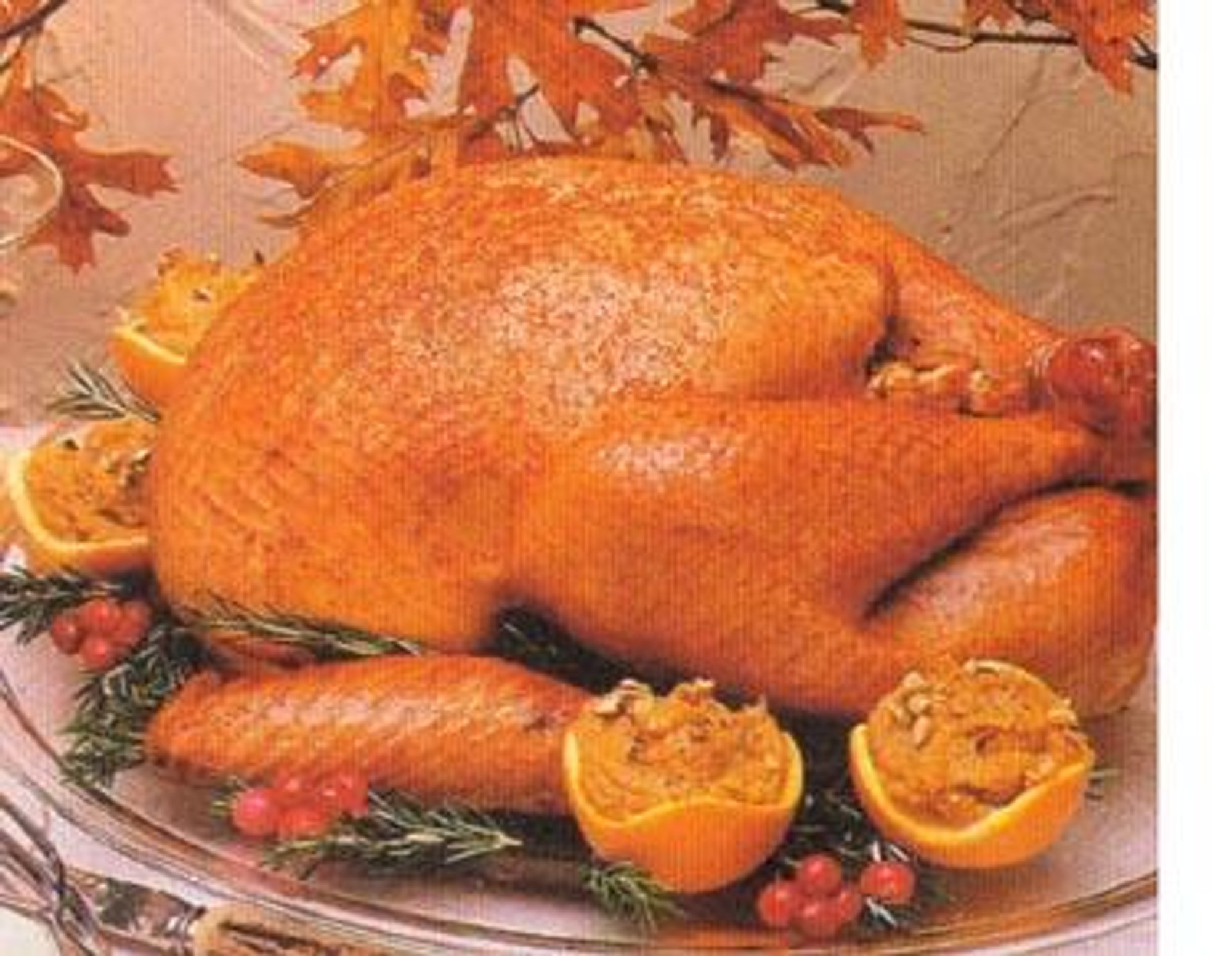 Įdarytas Kalėdinis kalakutas - Delfi gyvenimas