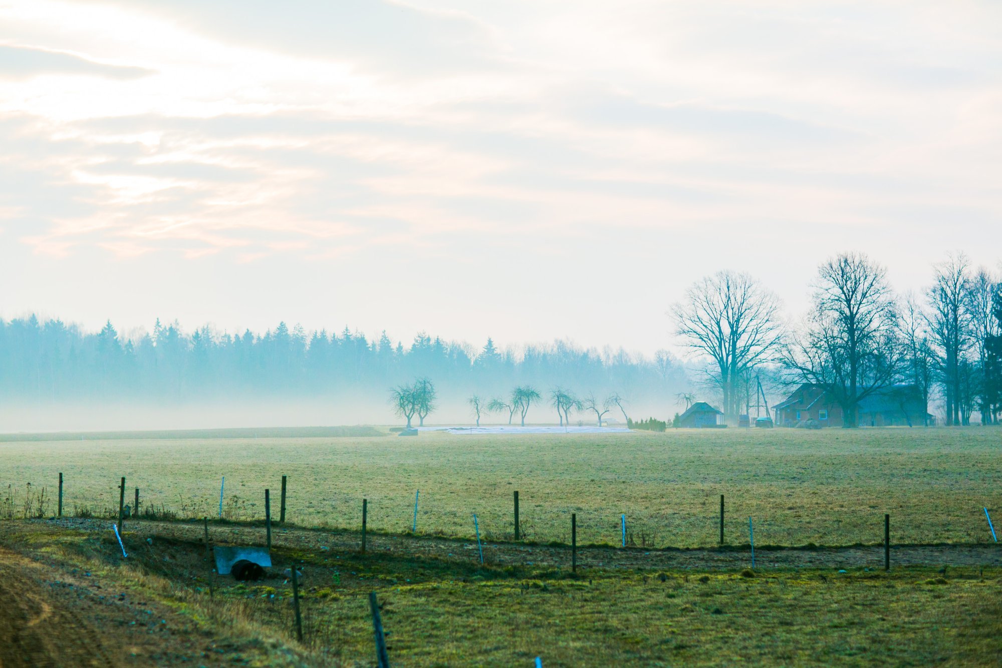 Šeima džiaugiasi gyvenimu kaime: čia gali save realizuoti - Delfi ...