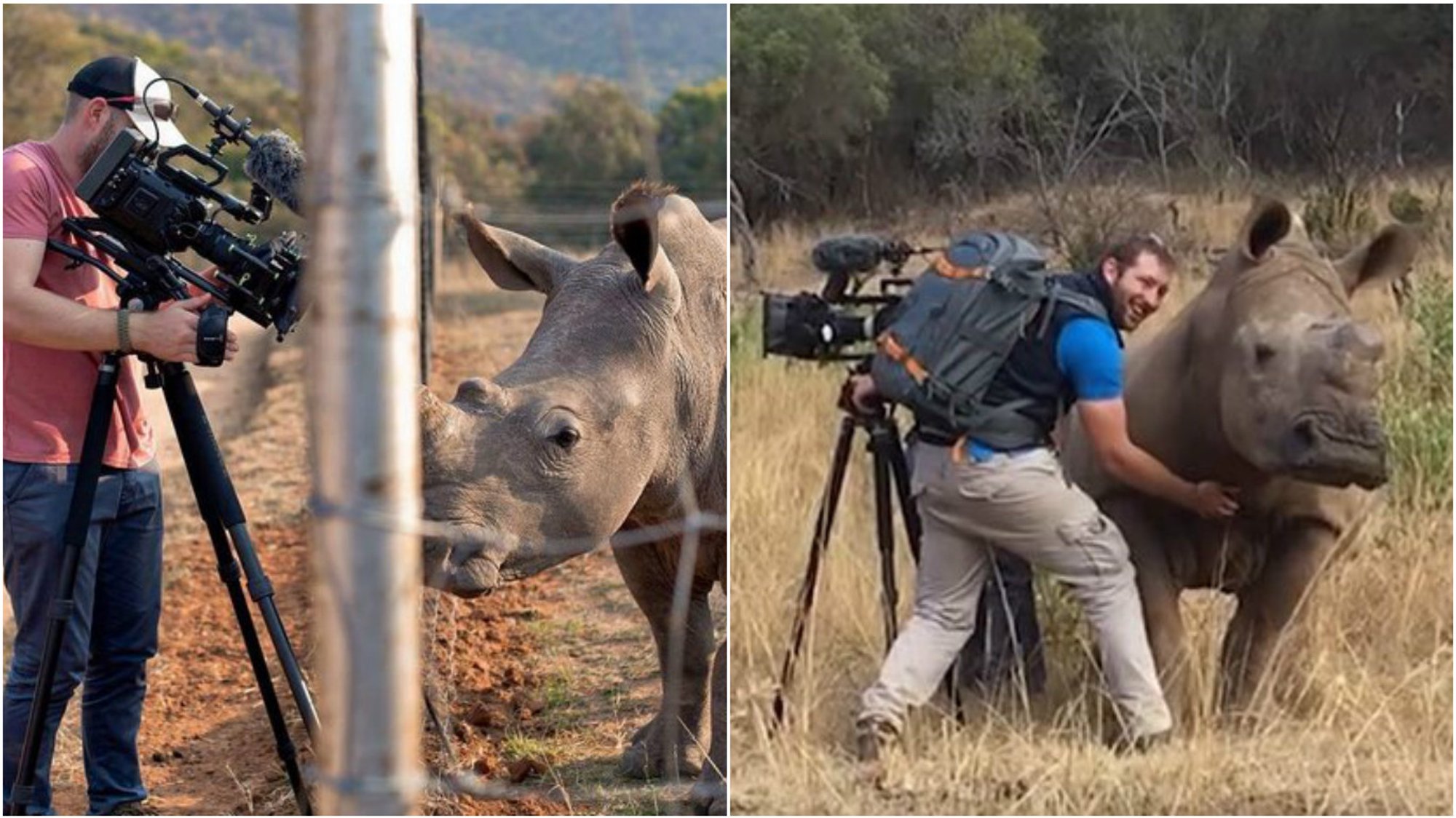 Raganosis pareikalavo operatoriaus dėmesio: paprašė pakasyti pilvą ...
