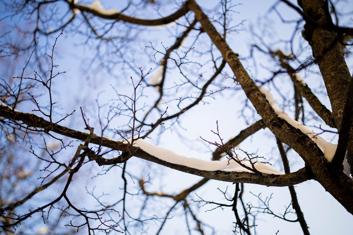 Meteo service records coldest night in Lithuania this year - Delfi EN