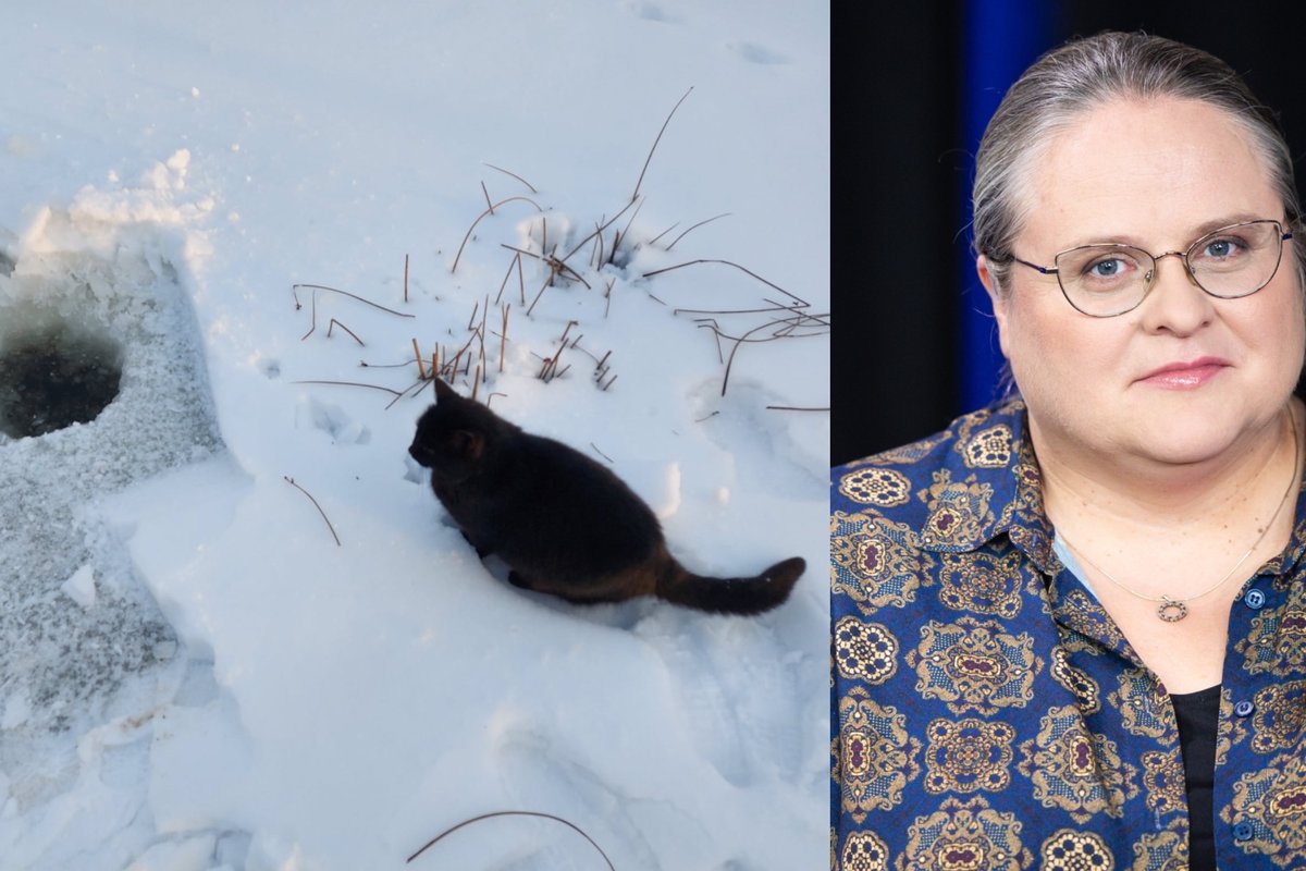 Širinskienė – plačiau apie katiną Nuodėgulį - Letena.lt