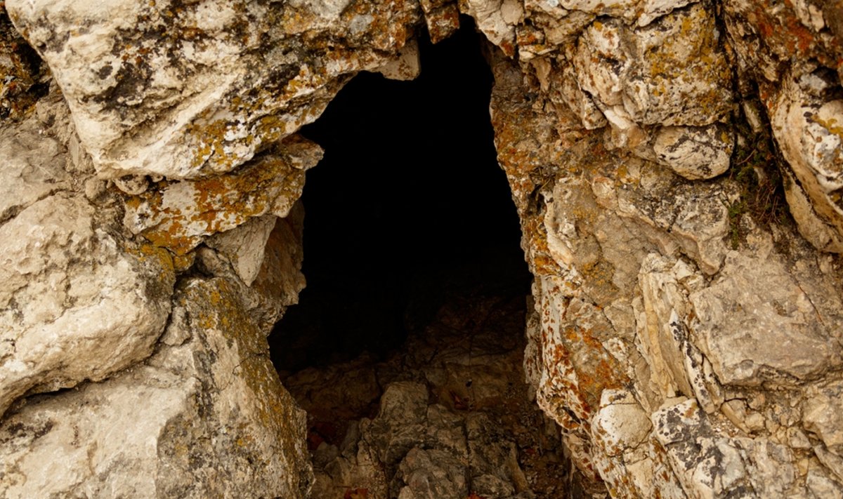 Šiurpus archeologų radinys oloje Lenkijoje patvirtino kanibalizmo ...