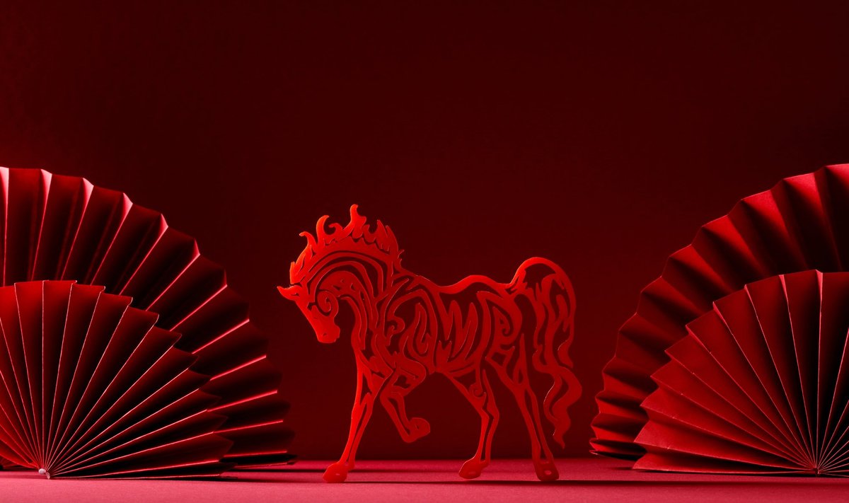 Šiems Kinų horoskopo ženklams 2026 metais negalima rizikuoti - Delfi ...