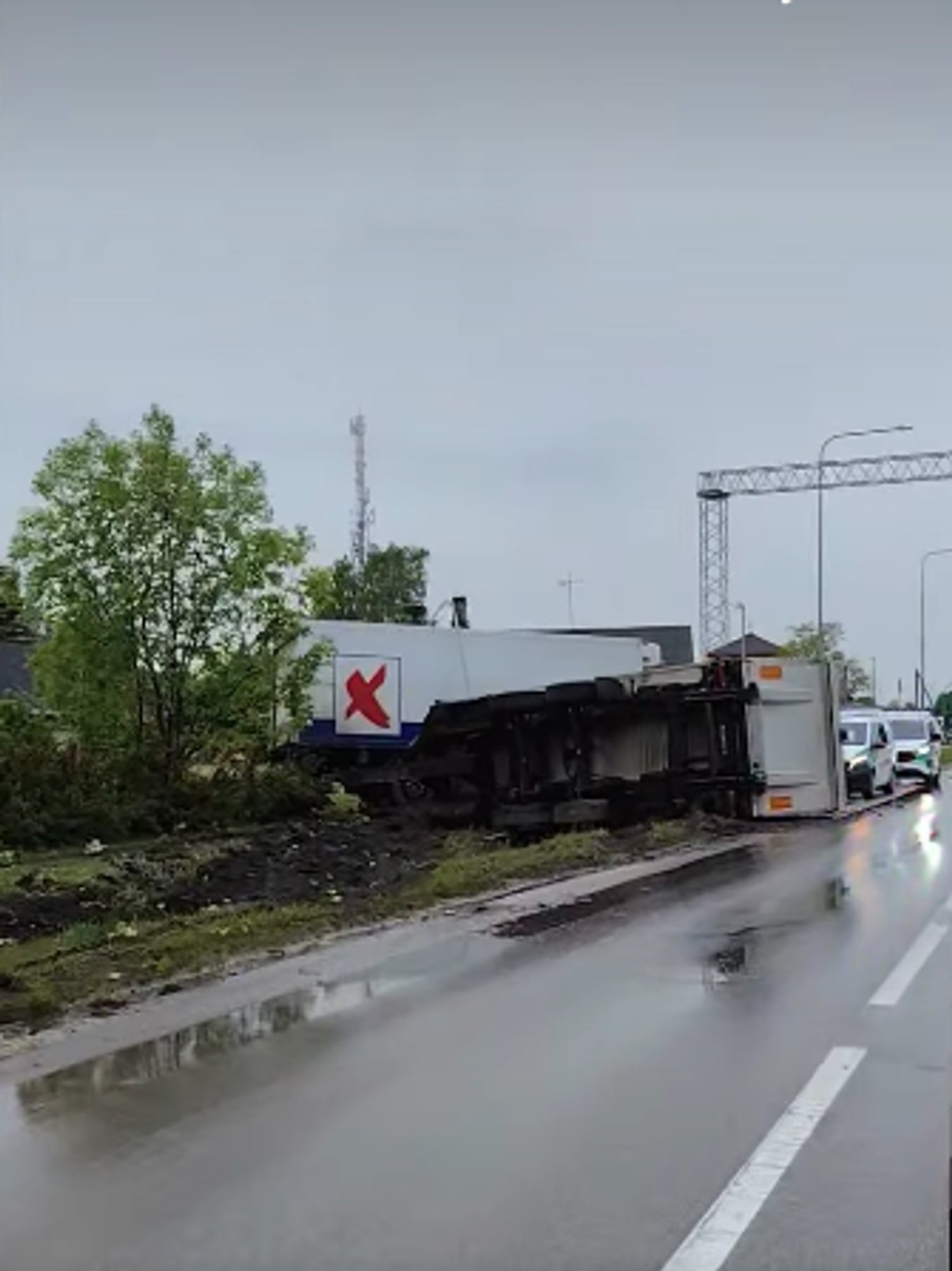 Marijampolėje dėl briedžio apvirto „Maximos“ sunkvežimis - Delfi