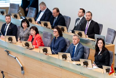 M. Sinkevičius pasigenda Budrio aktyvumo JAV karių klausimu - Delfi