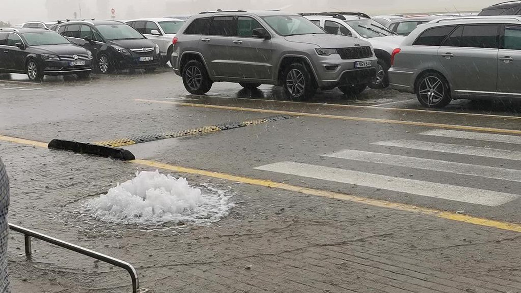 Klaipėdą nuplovė smarki liūtis - Delfi vasara