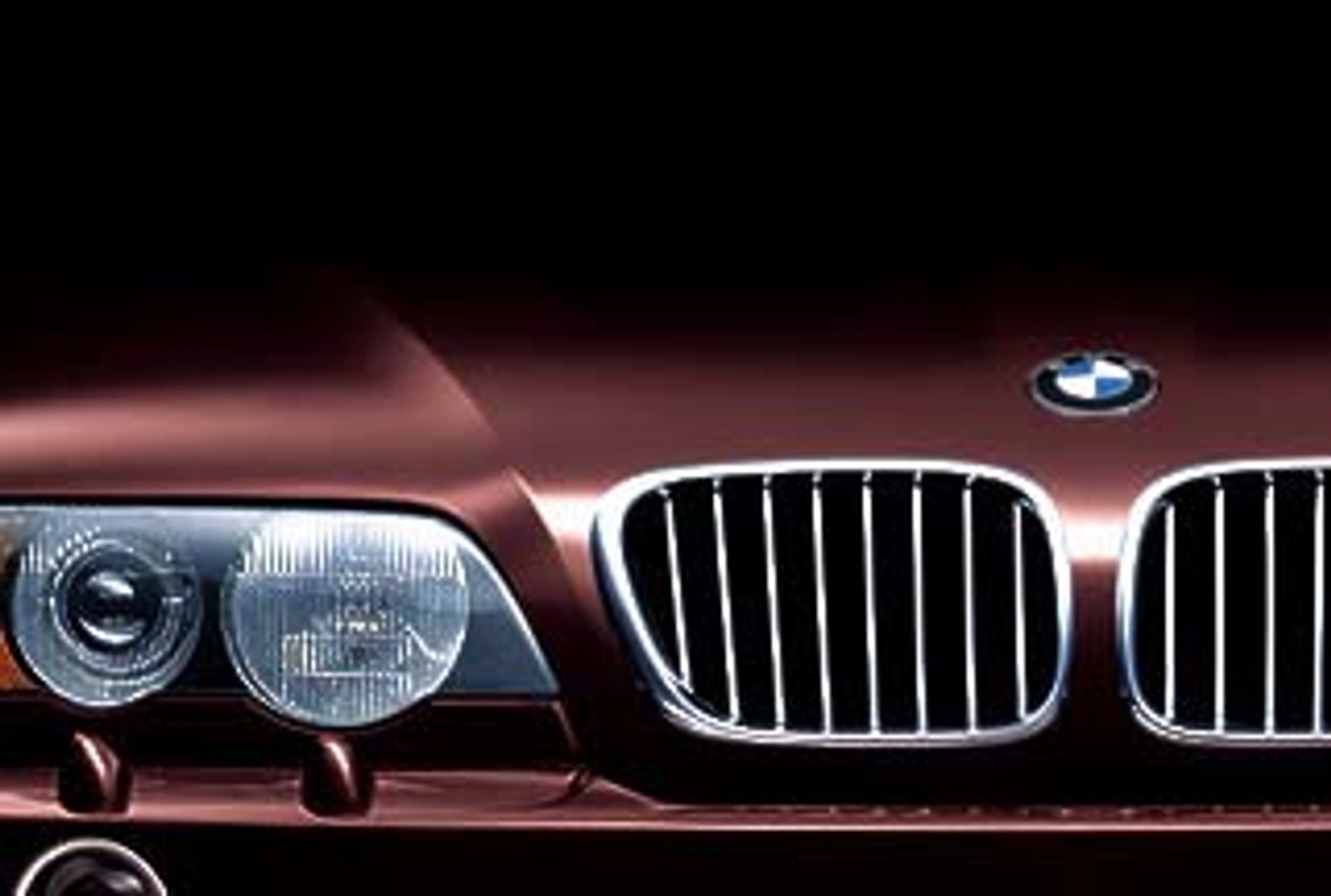 Dėl sugedusio kompiuterio ministras - BMW spąstuose - Delfi