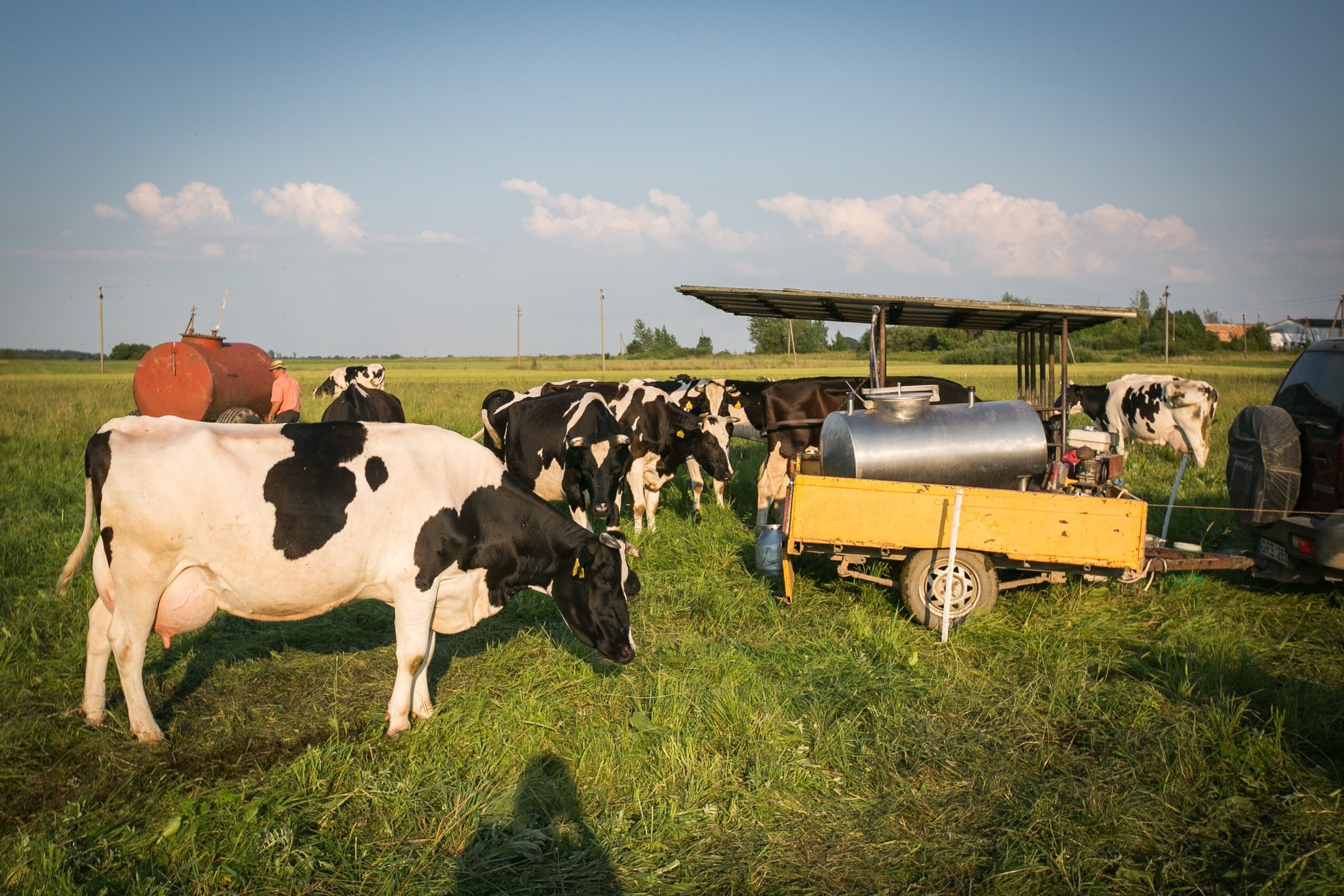 Pieno perdirbėjai įžvelgia žaliavos pigimo galimybę - Delfi agro