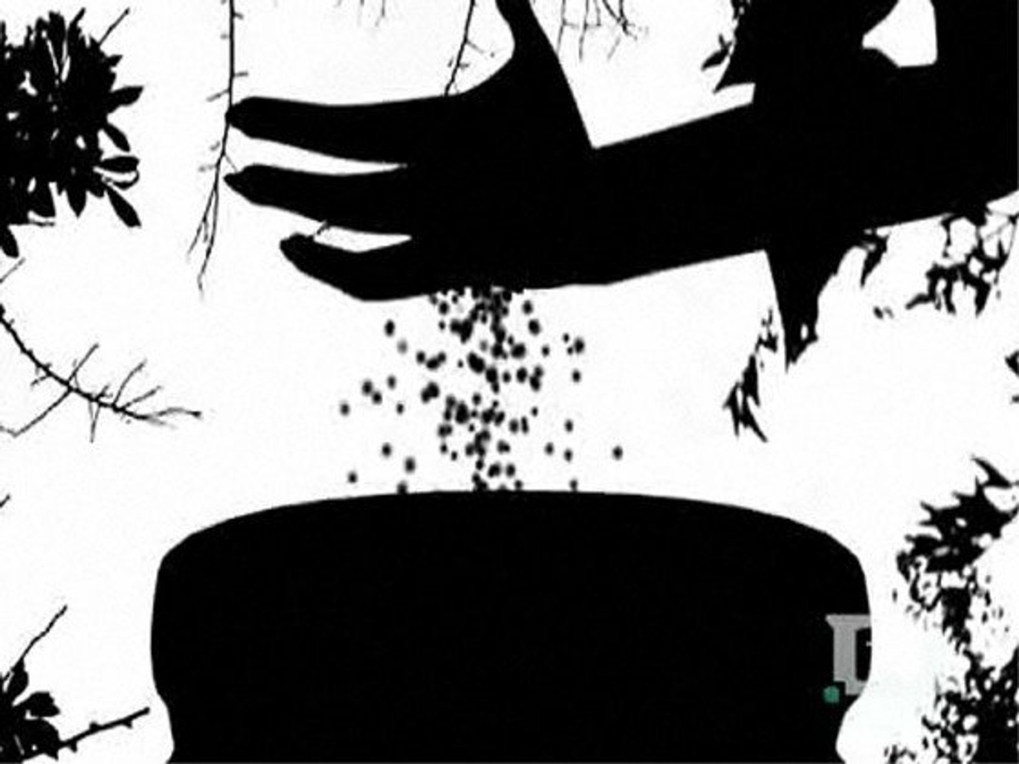 Animacinis filmas „Raganos burtai“ - Delfi TV