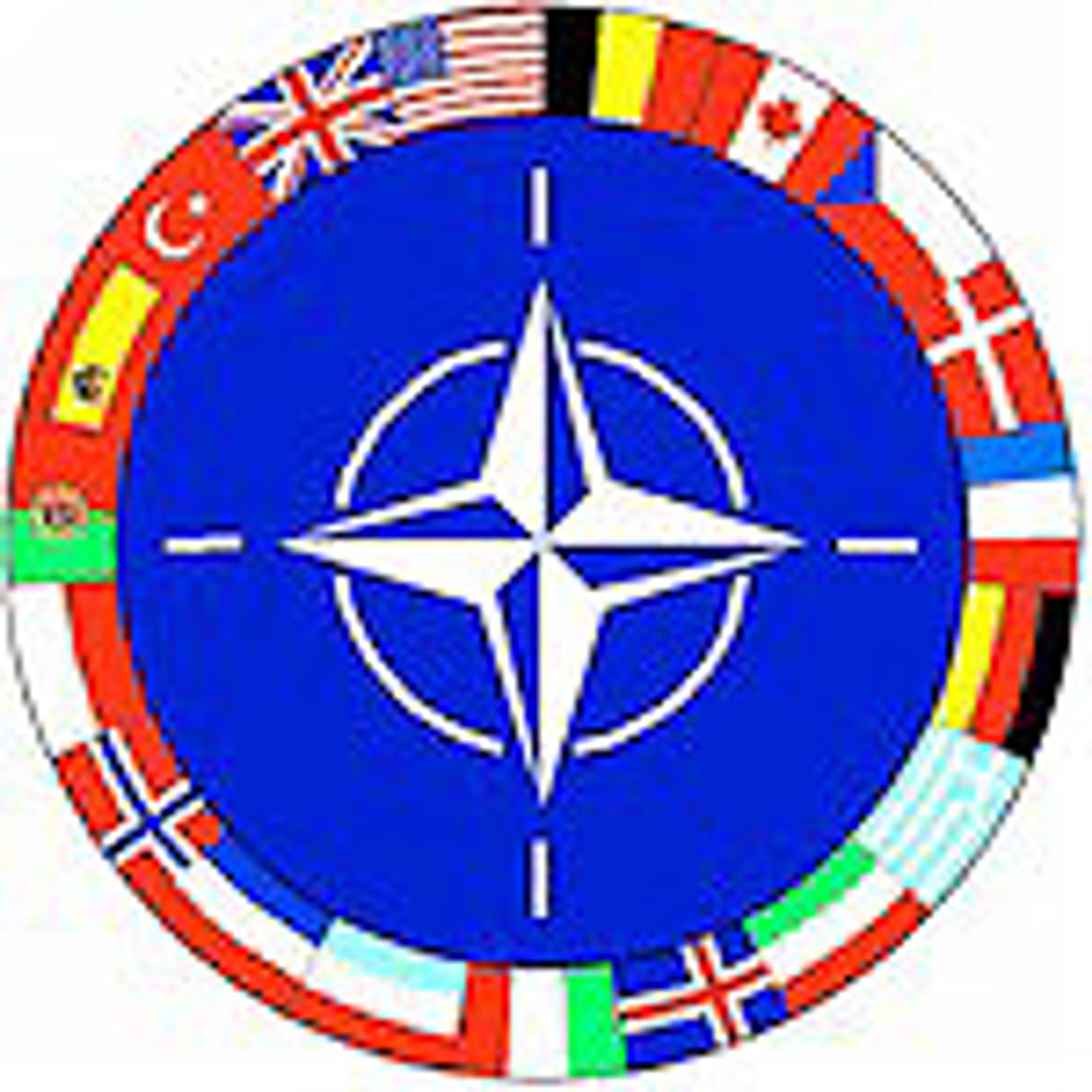 NATO ir Lietuvos ekspertai derina pajėgų plėtrą - Delfi