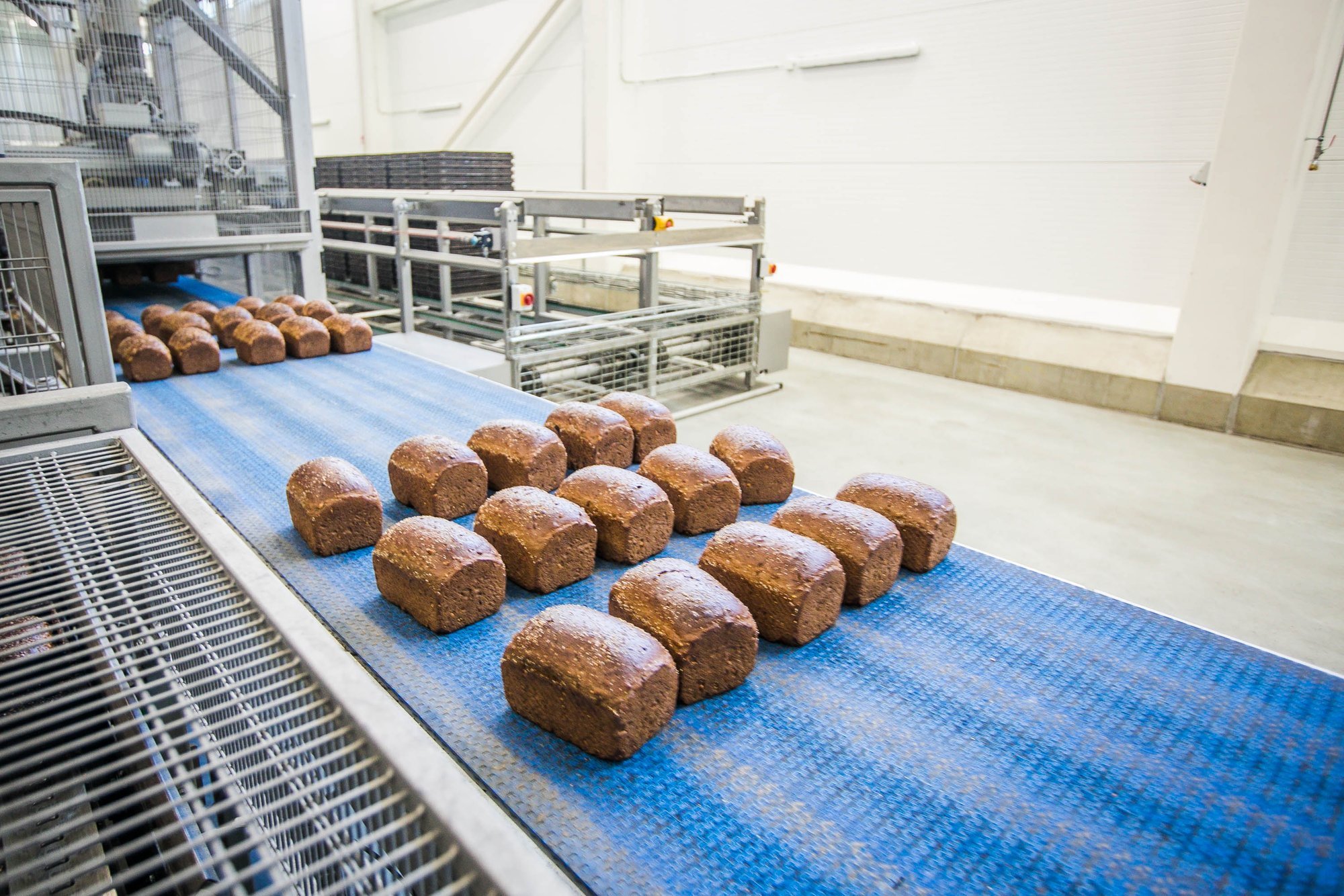 Lithuanian bread is tasted worldwide - Delfi EN