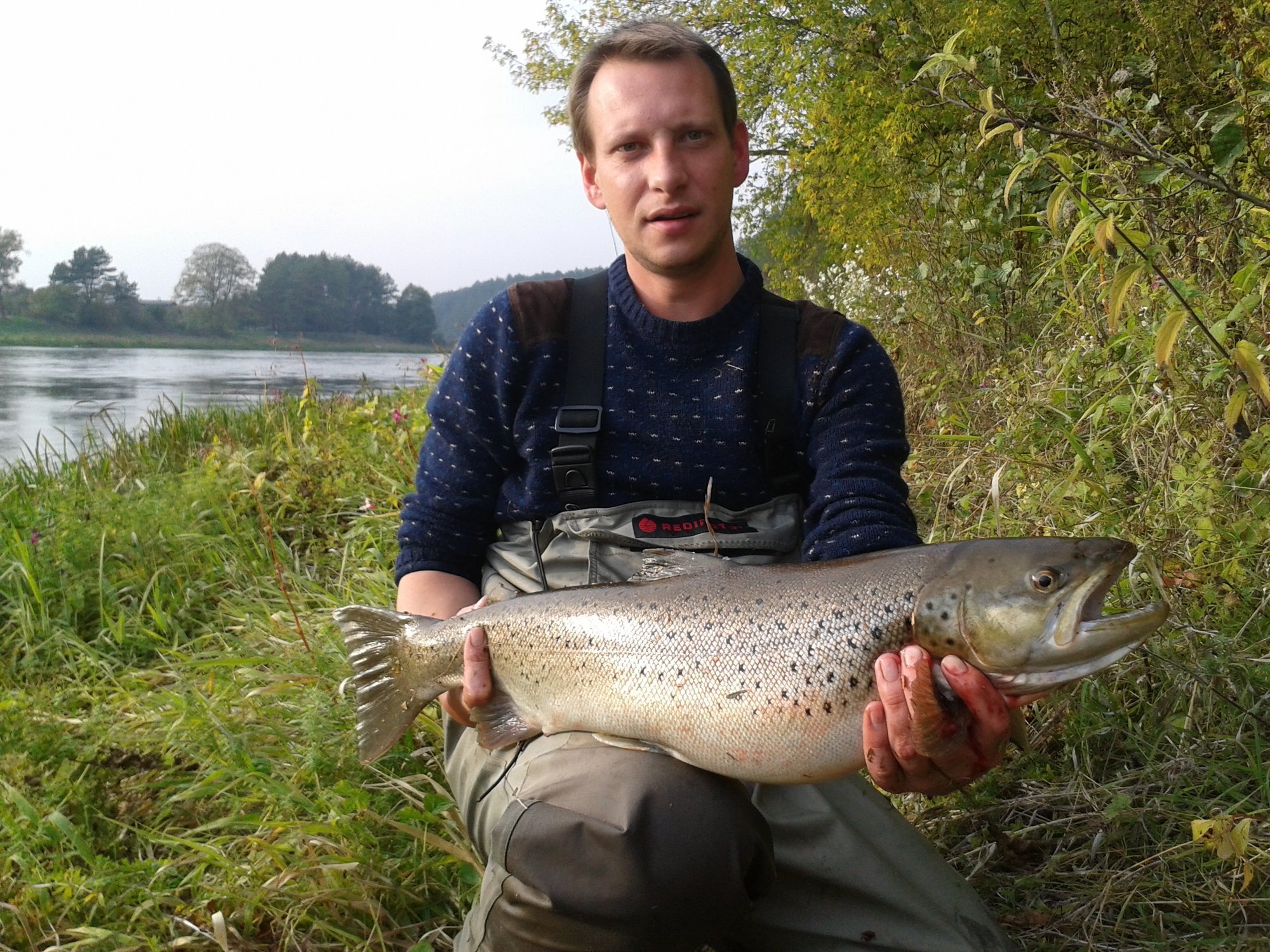 Lukas Miknevičius. Kas tu esi – elitas ar murzius? - Kablys.lt