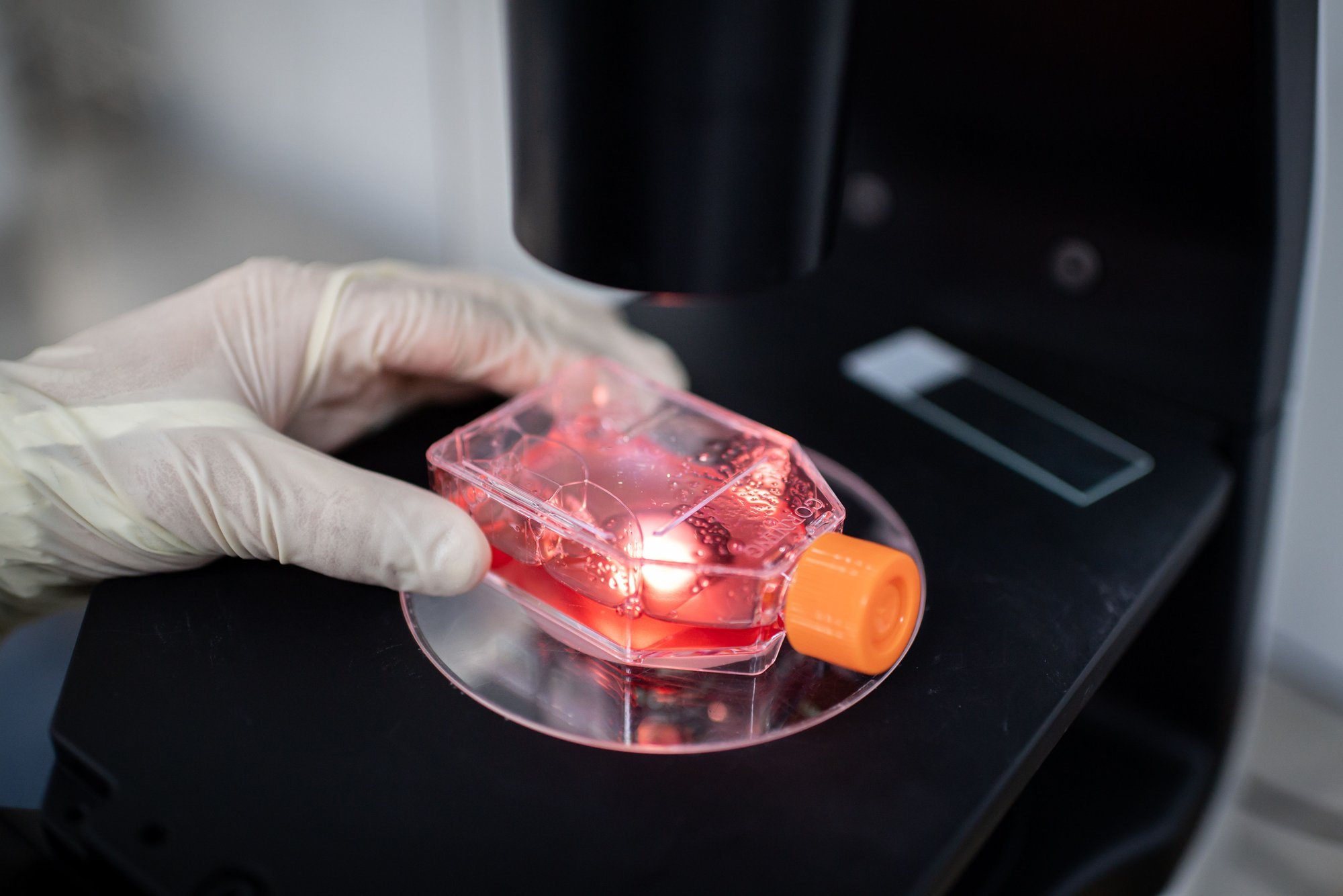 Gyvybės mokslų ir biotechnologijų srityje – didžiausi proveržiai ...