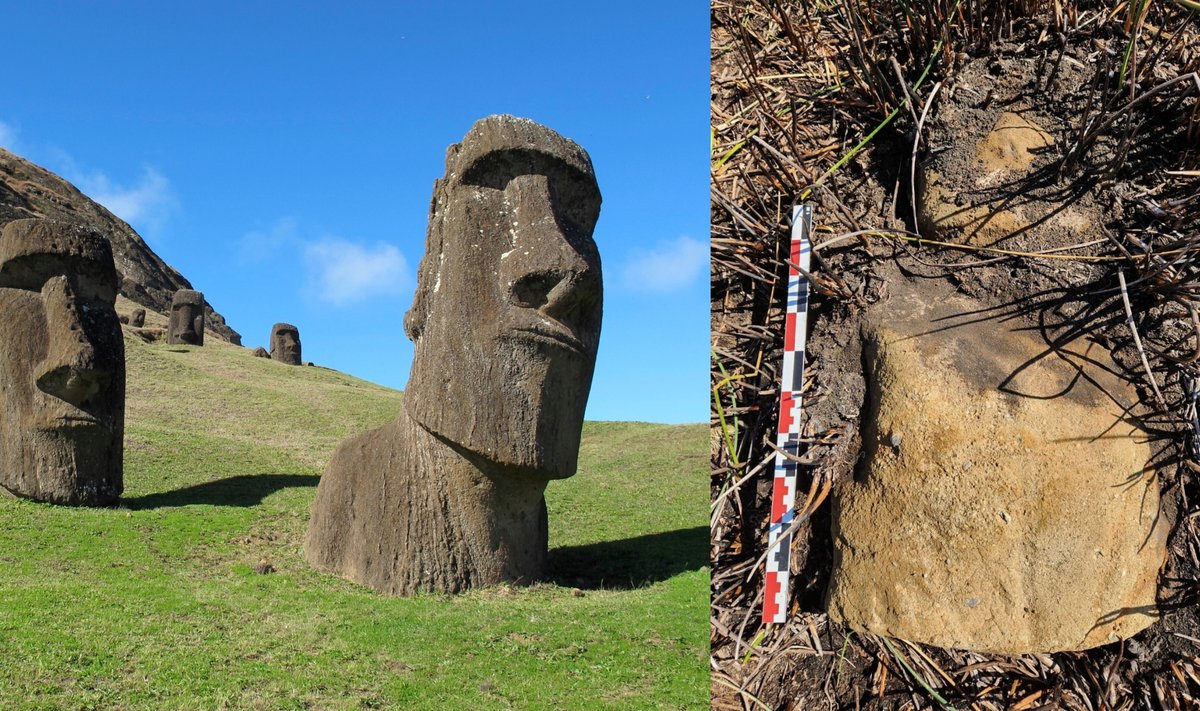 Pasirodė nauji duomenys apie Velykų salos statulas - Delfi mokslas