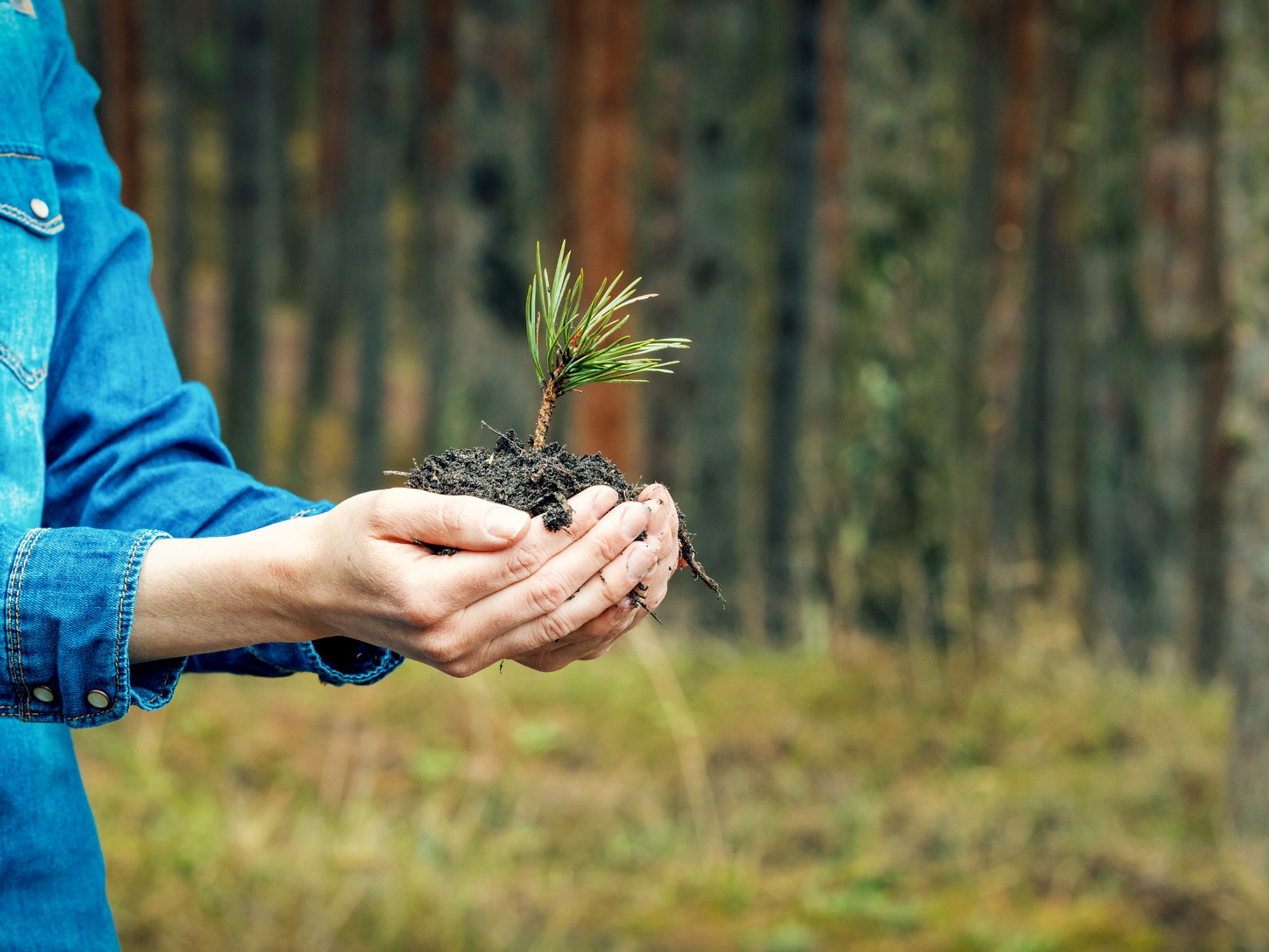 „Saugima“ ir „3M“ kviečia prisijungti prie apdovanojimą laimėjusios ...