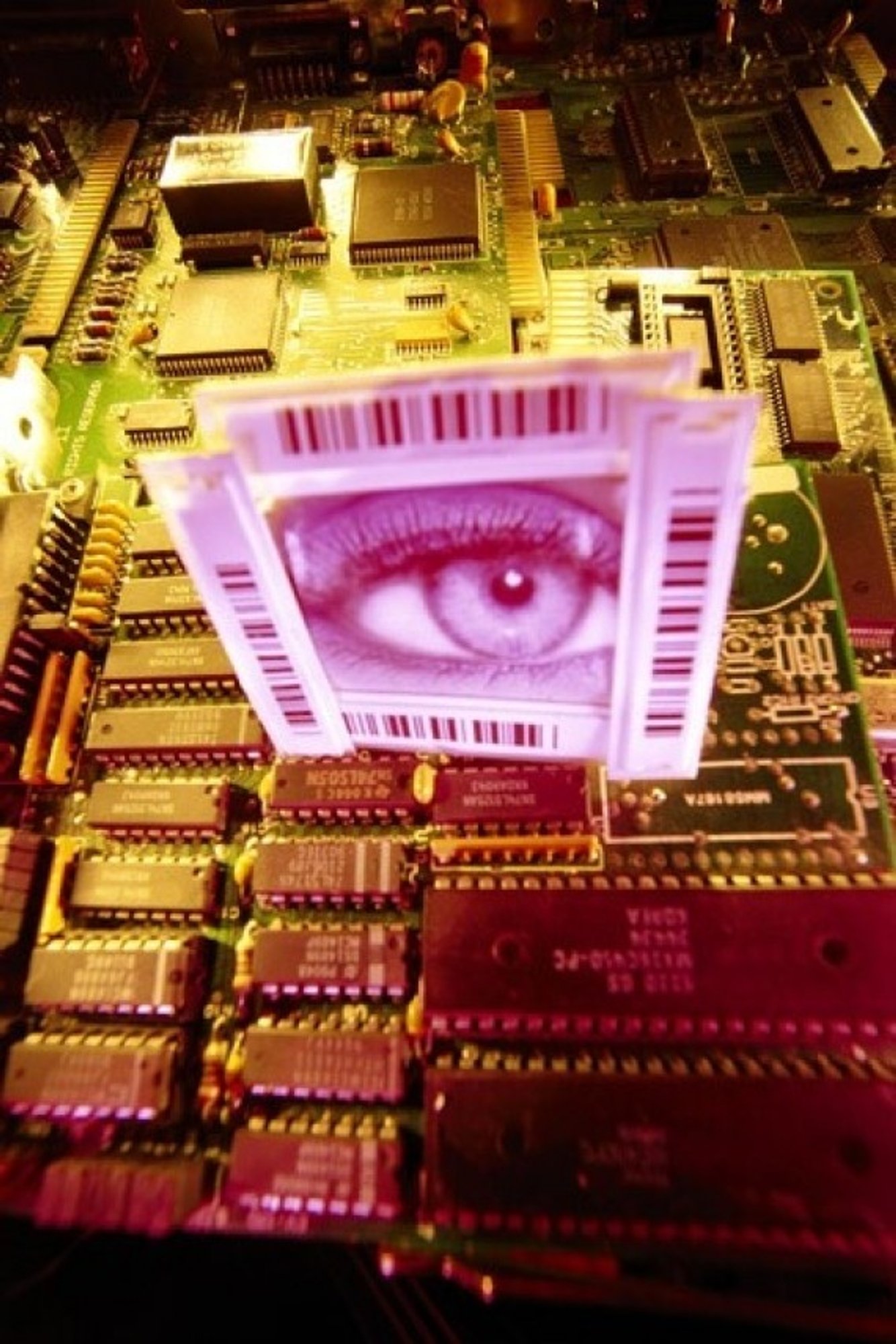 Kirminas „Conficker” užkrėtė 10 mln. kompiuterių - Delfi mokslas