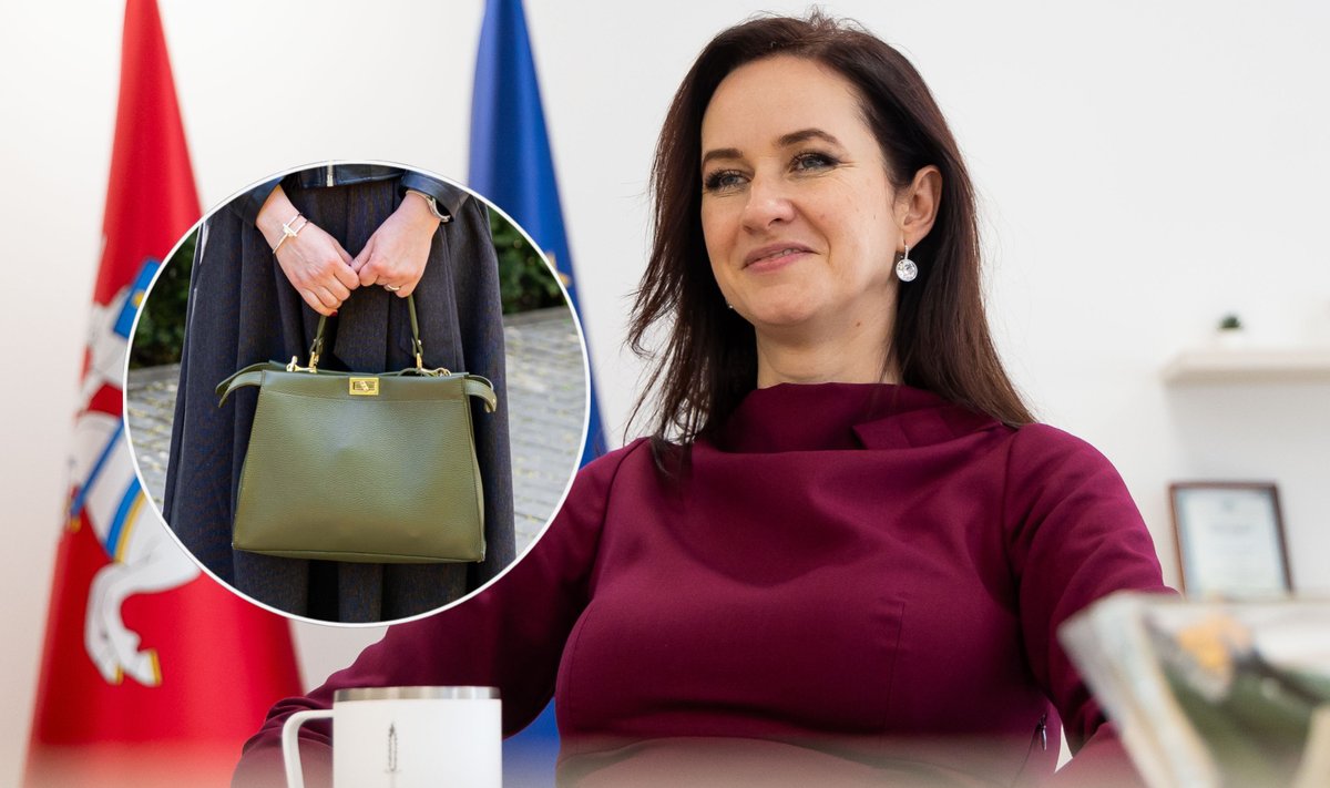 Po rankinuko detektyvo pagaliau prabilo ir pati Inga Ruginienė - Delfi ...