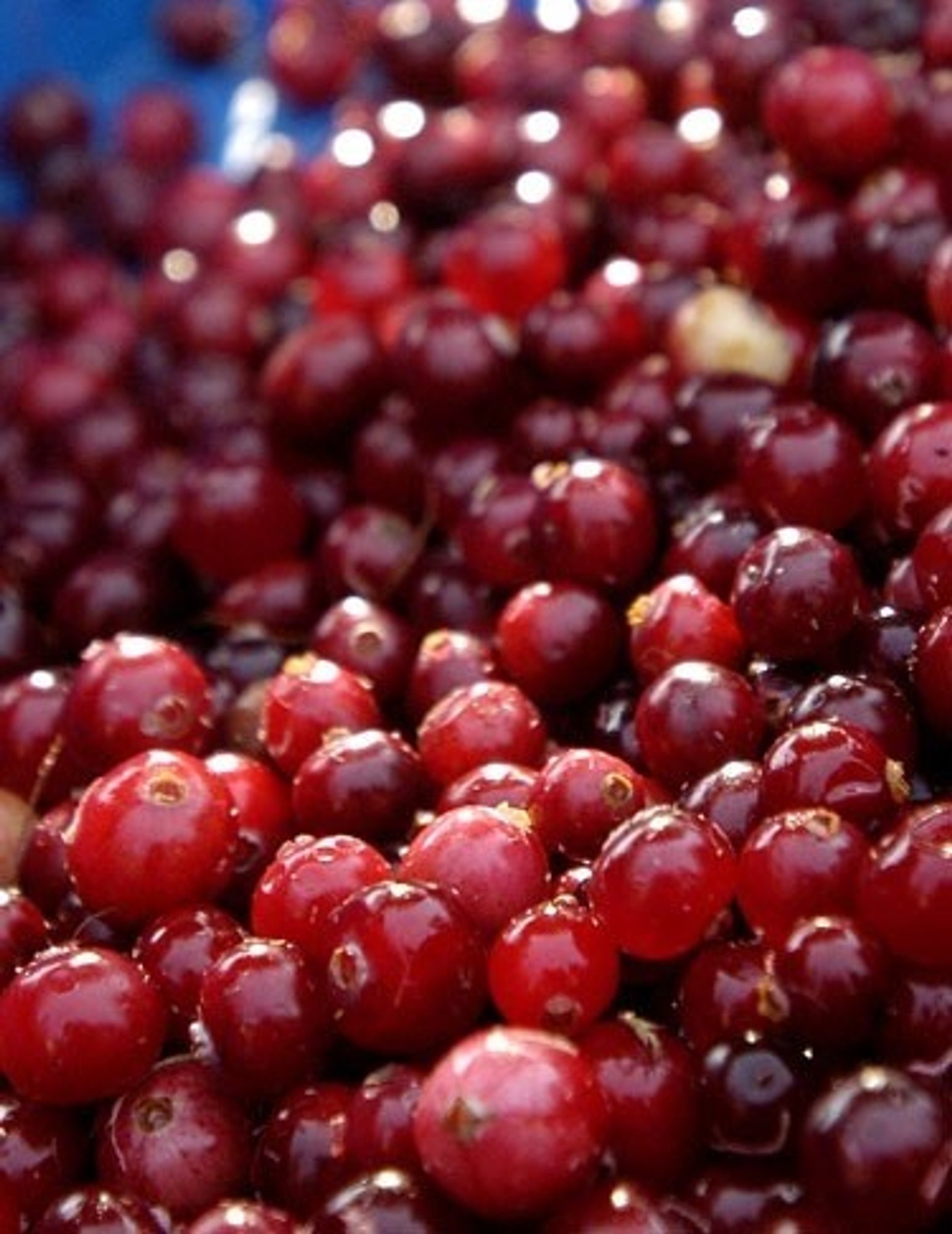 Spanguolės saugo dantis - Delfi gyvenimas