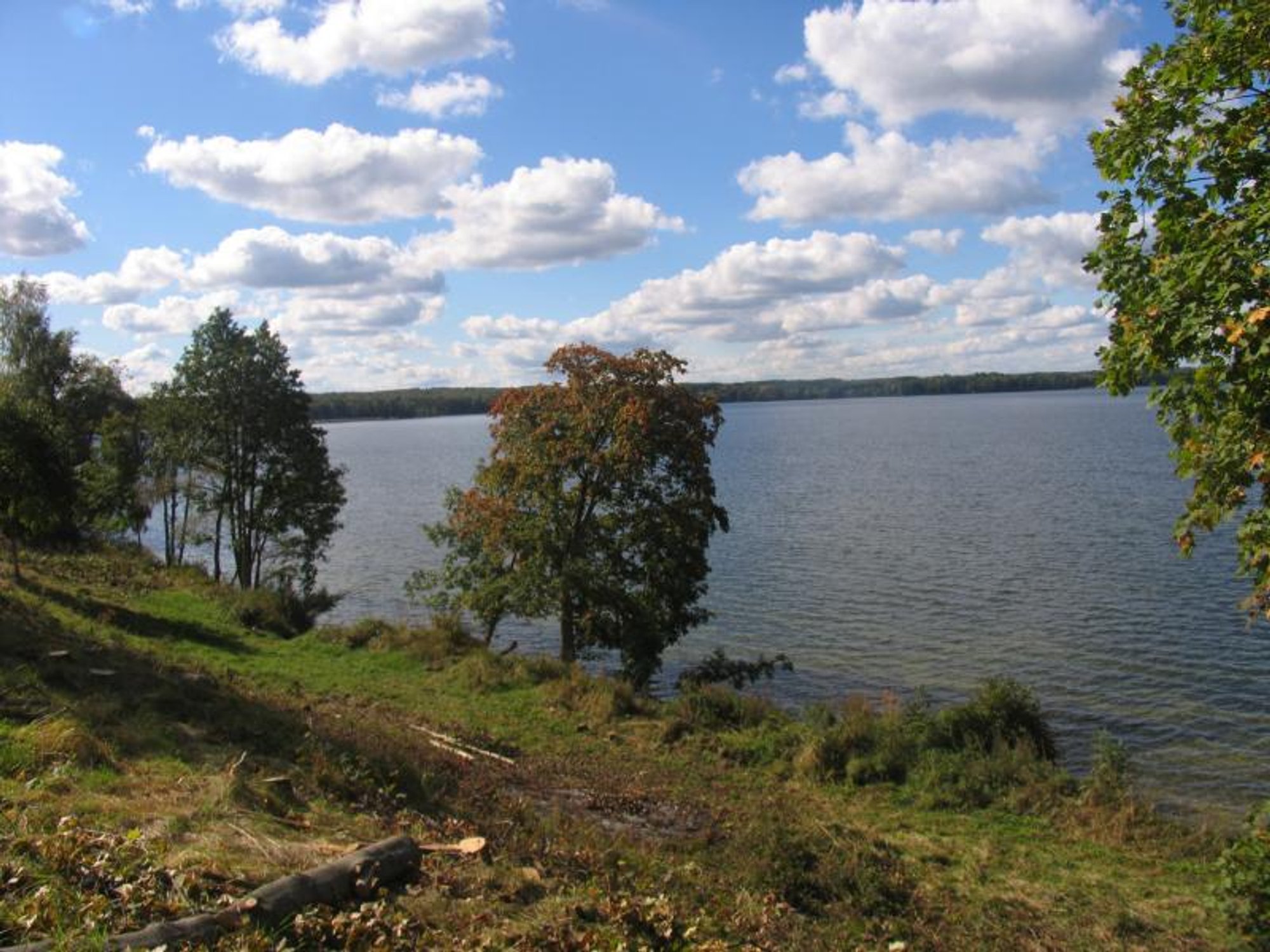 Išgražintos Vištyčio ežero pakrantės - Delfi grynas