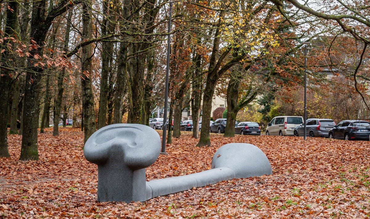 Kauno nauja skulptūra susilaukė internautų dėmesio - Delfi kartu