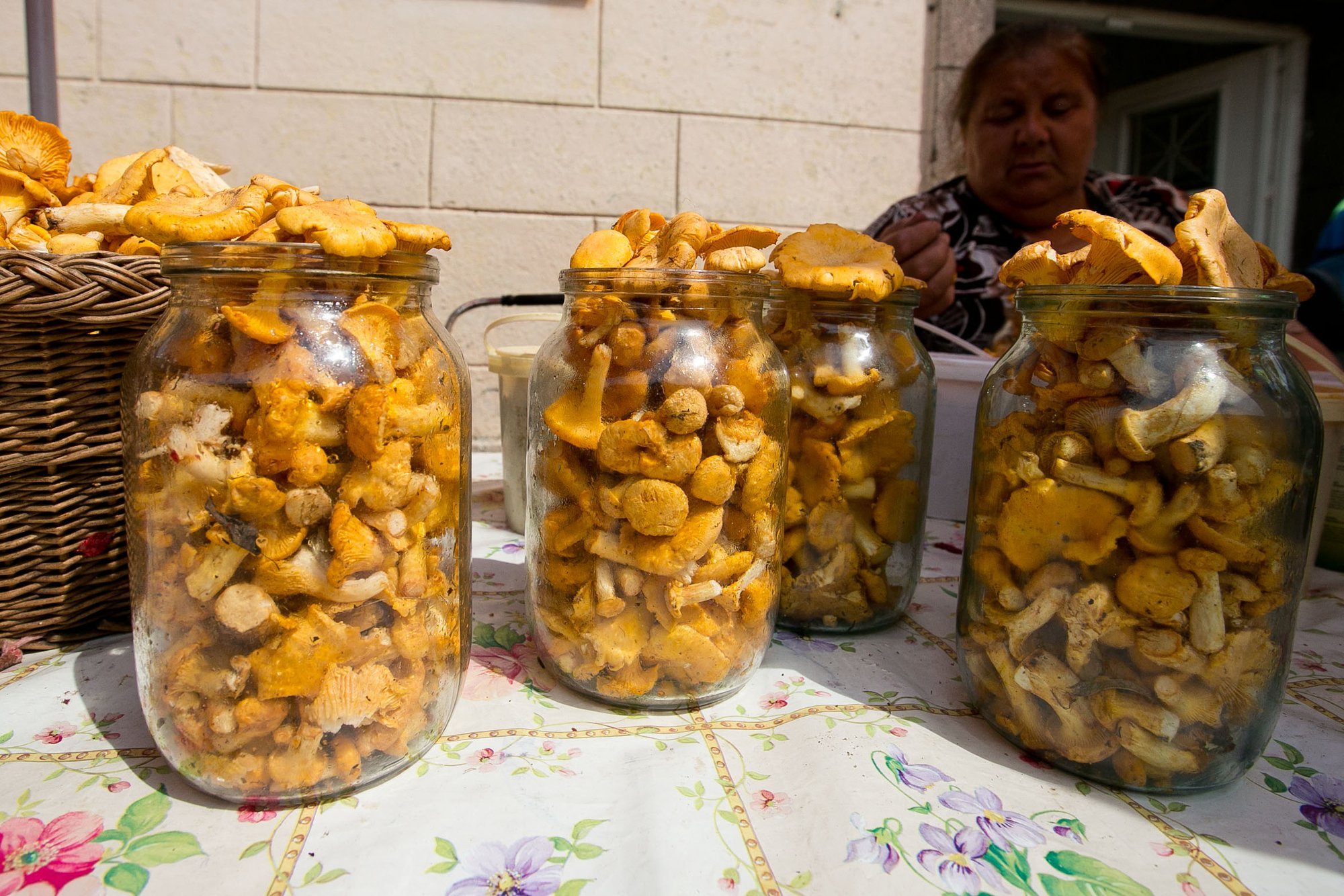 Atkirto besistebintiems pirmųjų grybų kainomis: kas neįperka, tas ...