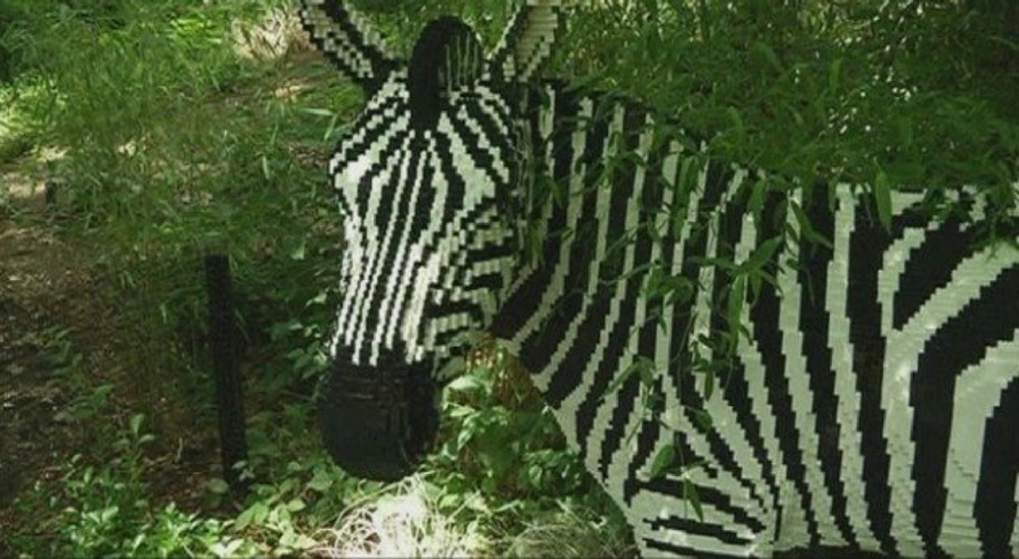 Bronkso zoologijos sode – gyvūnai iš „Lego“ kaladėlių - Delfi TV