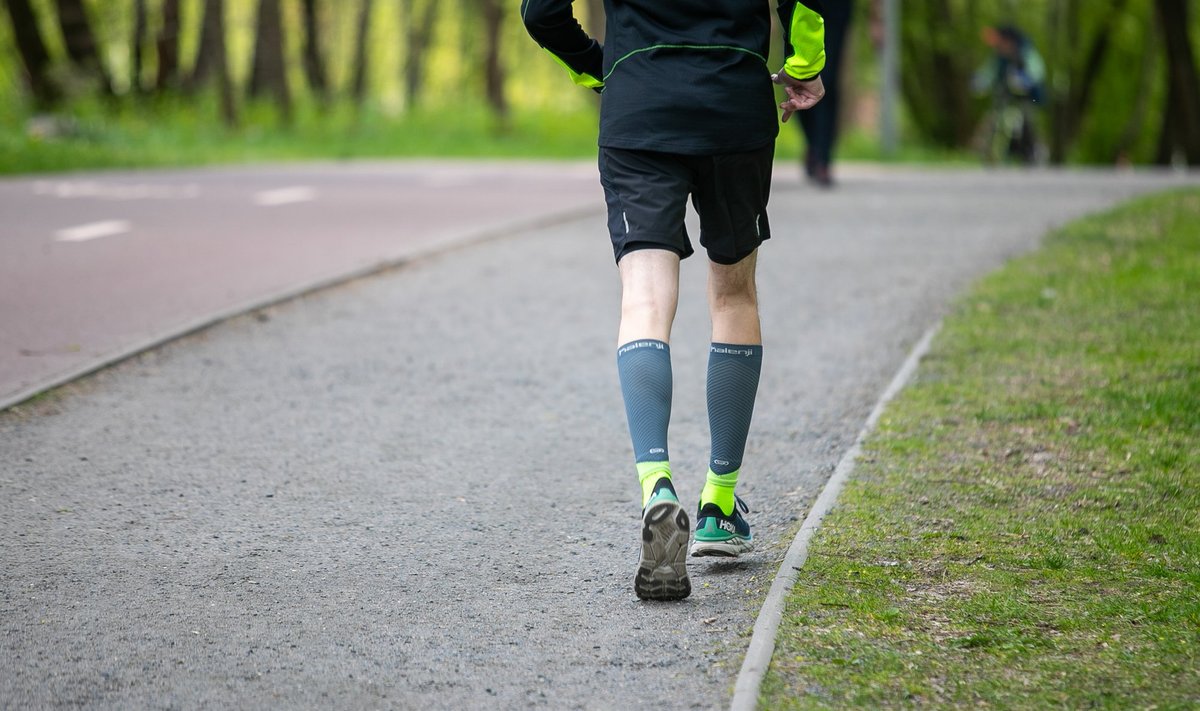 Esate vyturys ar pelėda? Kaip dienos ritmas veikia jūsų sveikatą ...