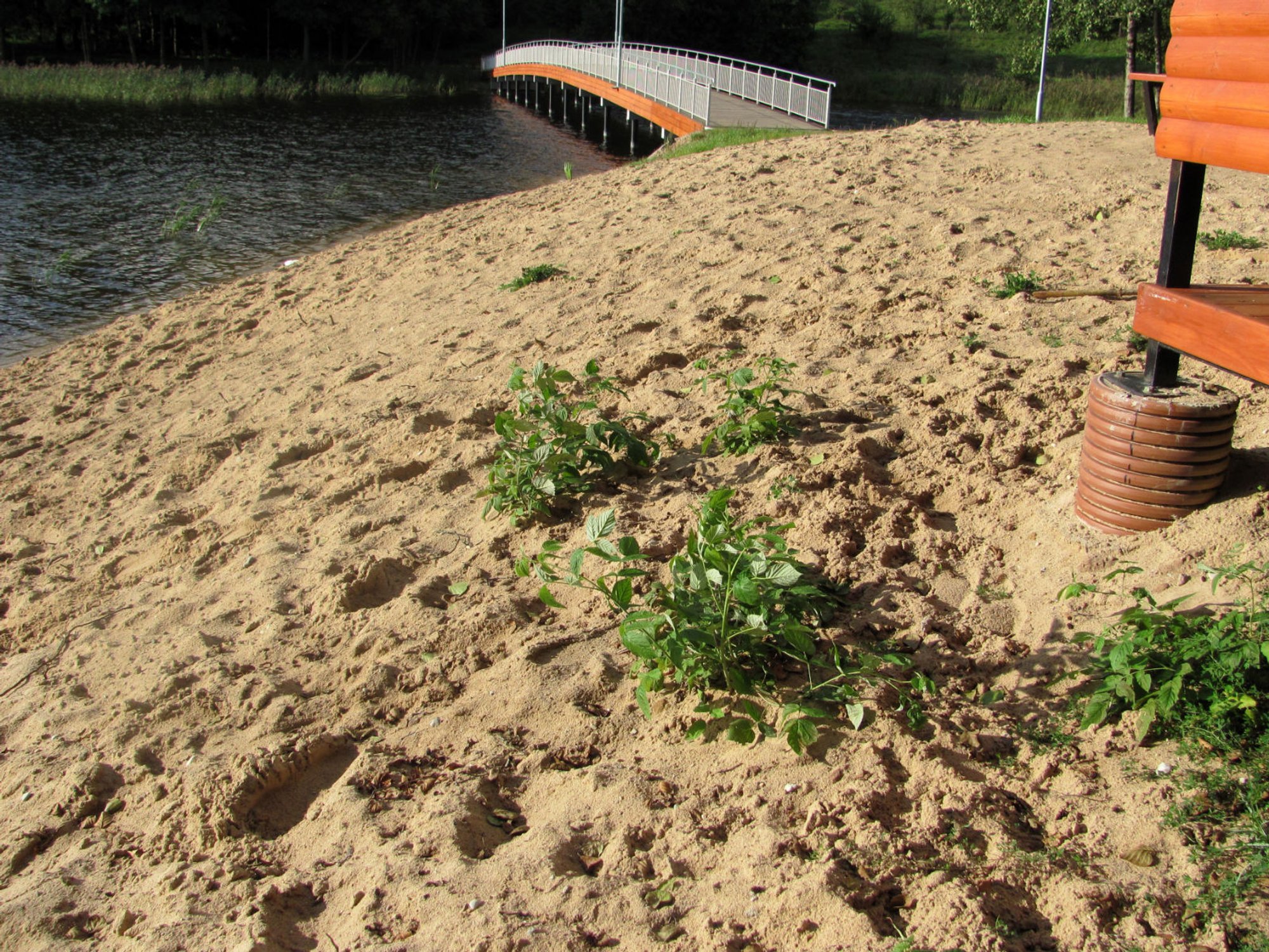 Nuomonė. Barbarai ežero pakrantėse arba ES pinigai - kraštovaizdžio ...