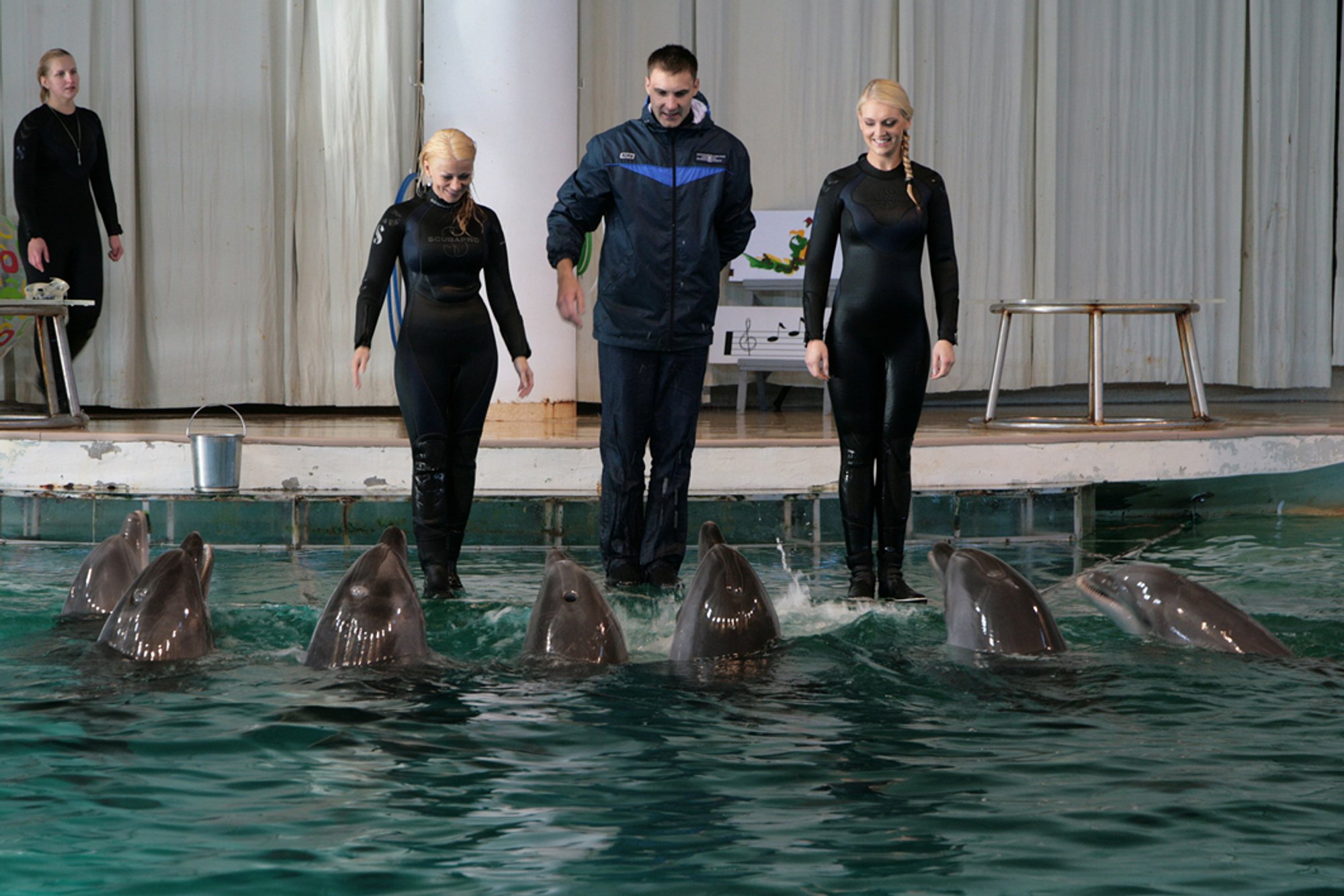 Delfinai Klaipėdos delfinariume - anksčiausiai po metų - Delfi grynas