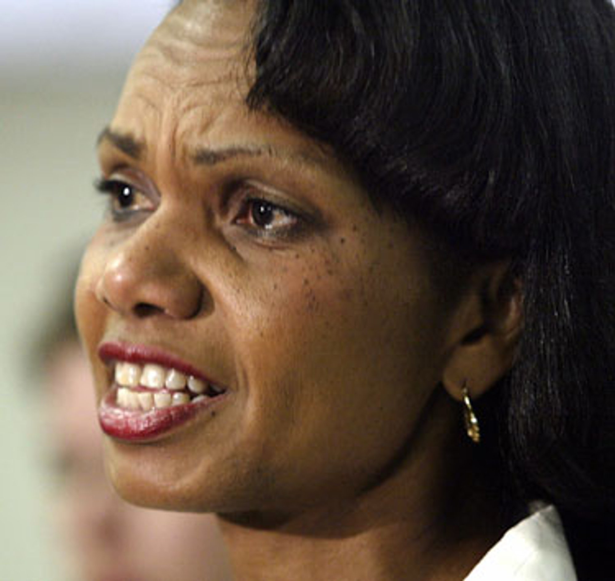 K.Rice: kurdų sukilėliai - bendras Turkijos ir JAV priešas - Delfi