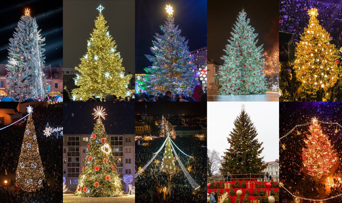 Выбрана самая красивая елка елка Литвы: в этом году победила елка из ...