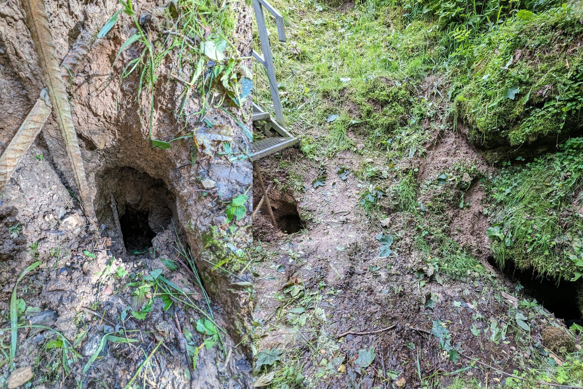 Garsiojoje Karvės oloje – netikėtas pokytis, įspėjami lankytojai ...