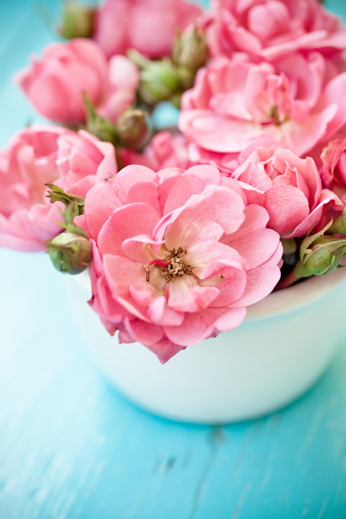 Svajingos rožinės vestuvės - Delfi gyvenimas