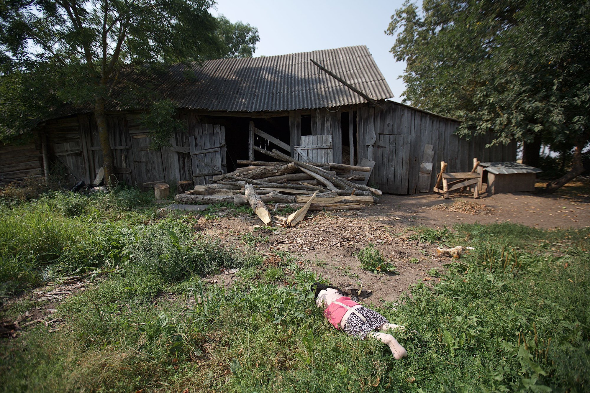 V. Gailius apie du medine pliauska talžytus berniukus: pareigūnai ...