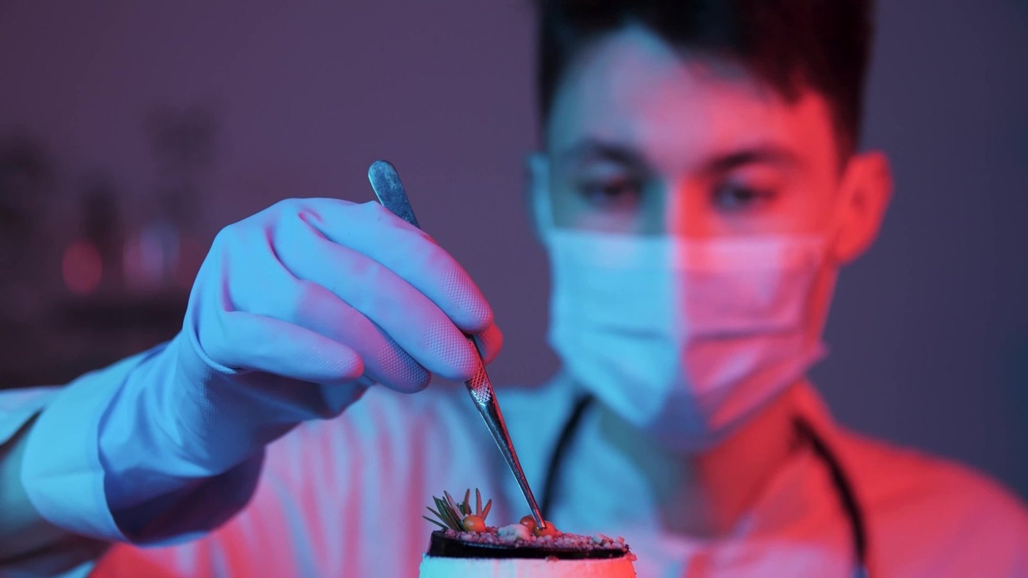 Daktaras Desertas - Delfi TV