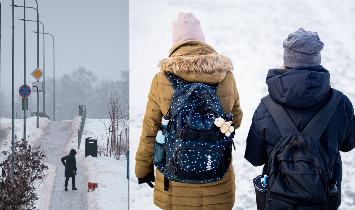 Vilnietė piktinasi – juk Lenkija mokyklas uždarė iškart - Delfi