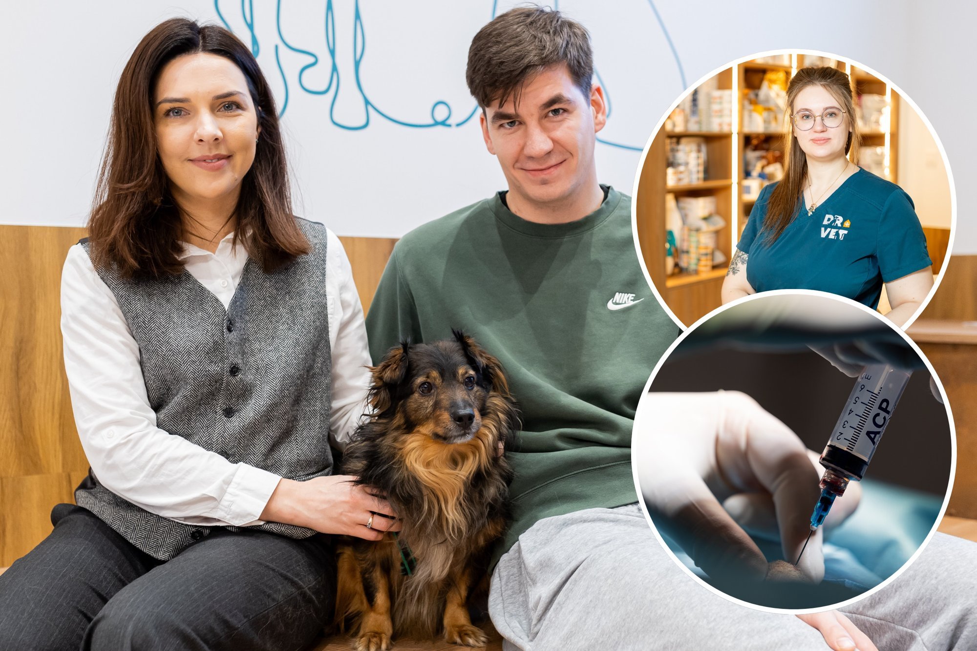 Šuneliui Argui inovatyvi terapija padėjo atsistoti ant kojų: ši ...