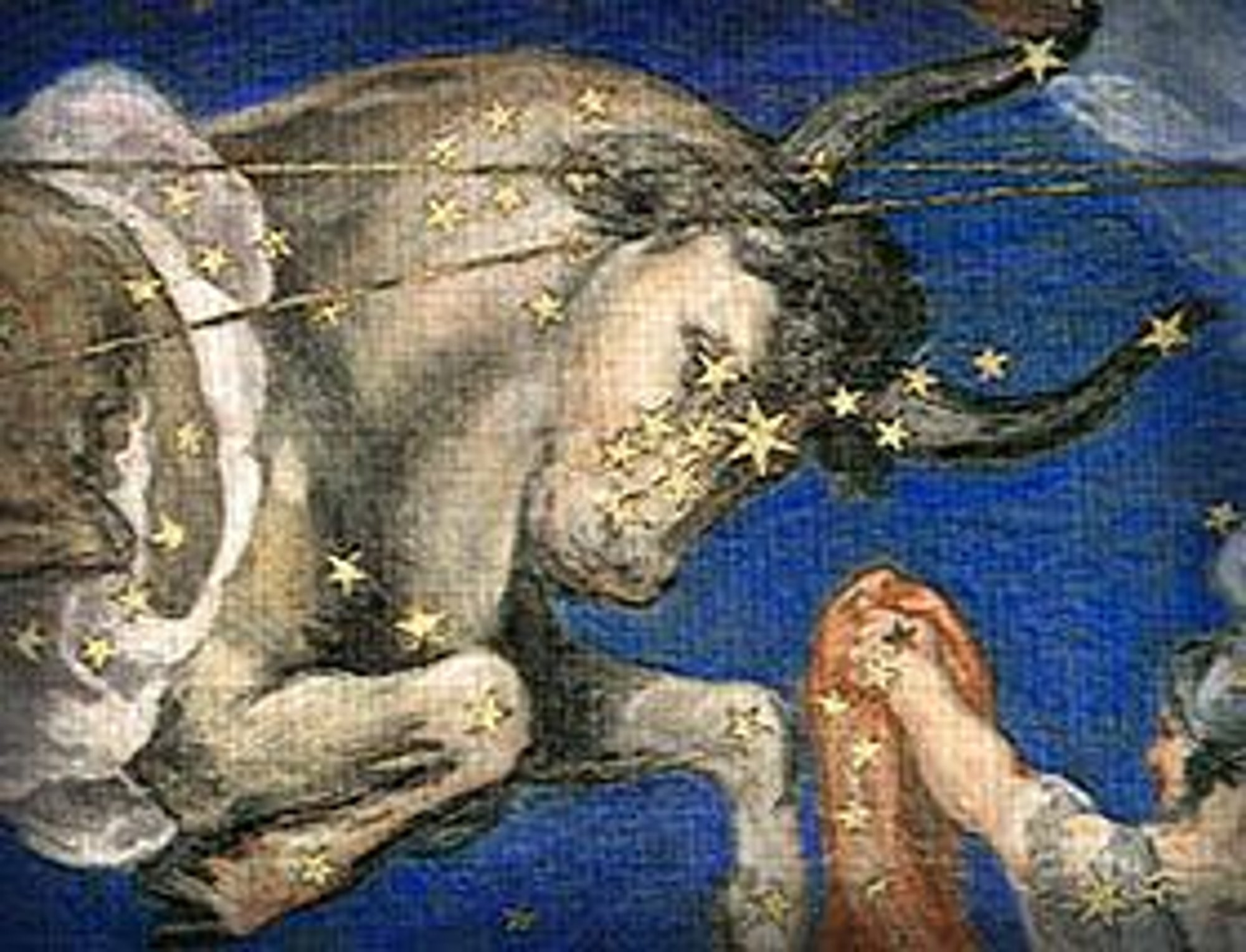 Astrologinių ženklų portretai. Jautis - Delfi gyvenimas