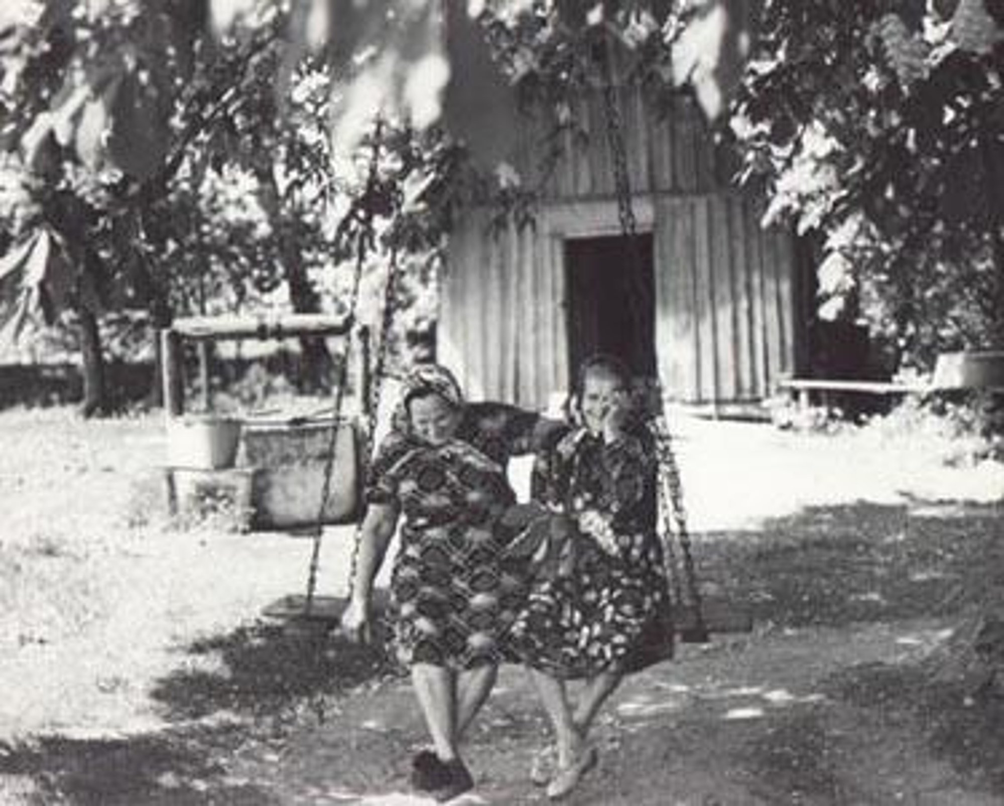 Vilniuje - R.Rakausko fotografijų paroda - Delfi veidai