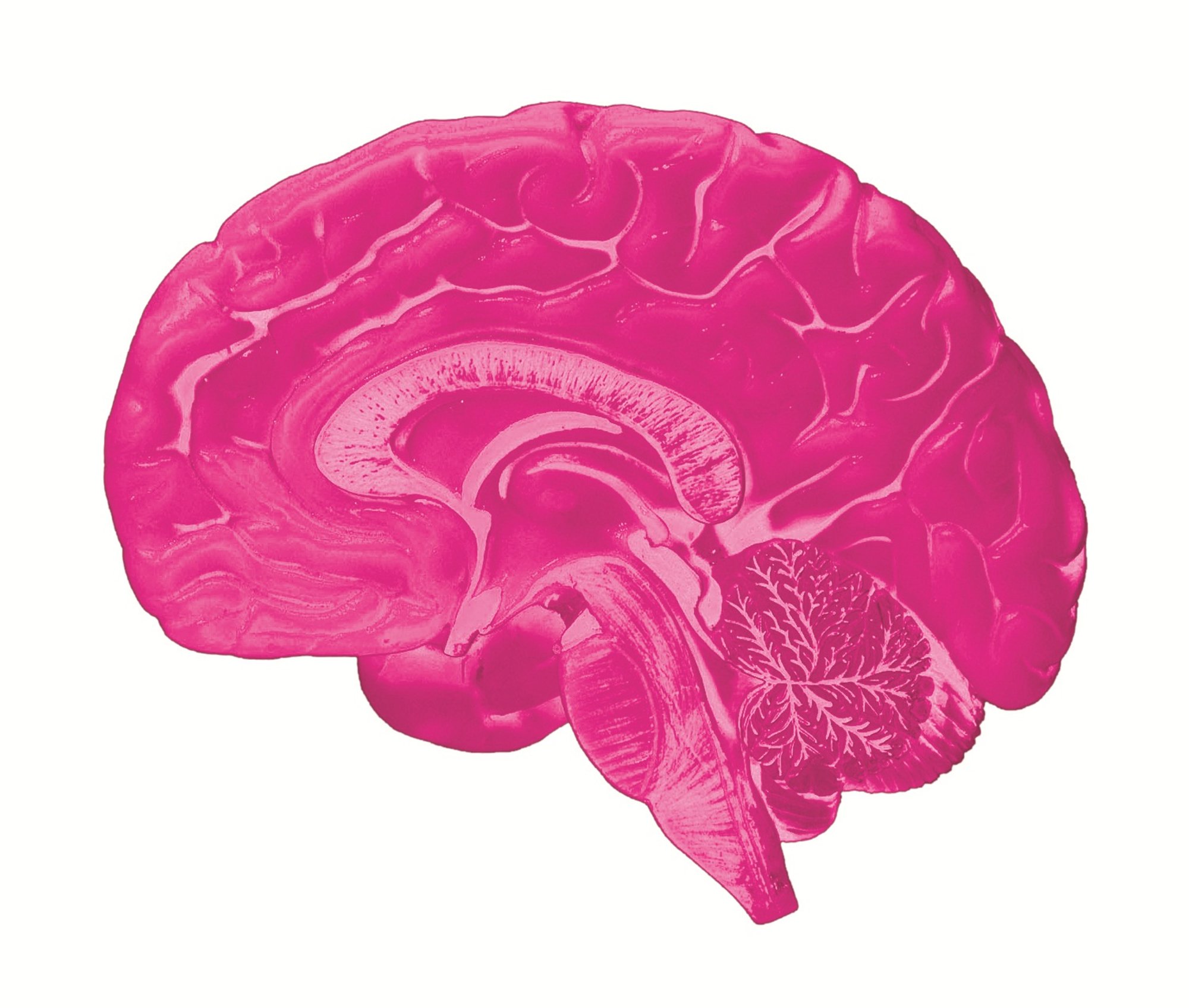 Что полезно есть для улучшения работы мозга - Delfi RU